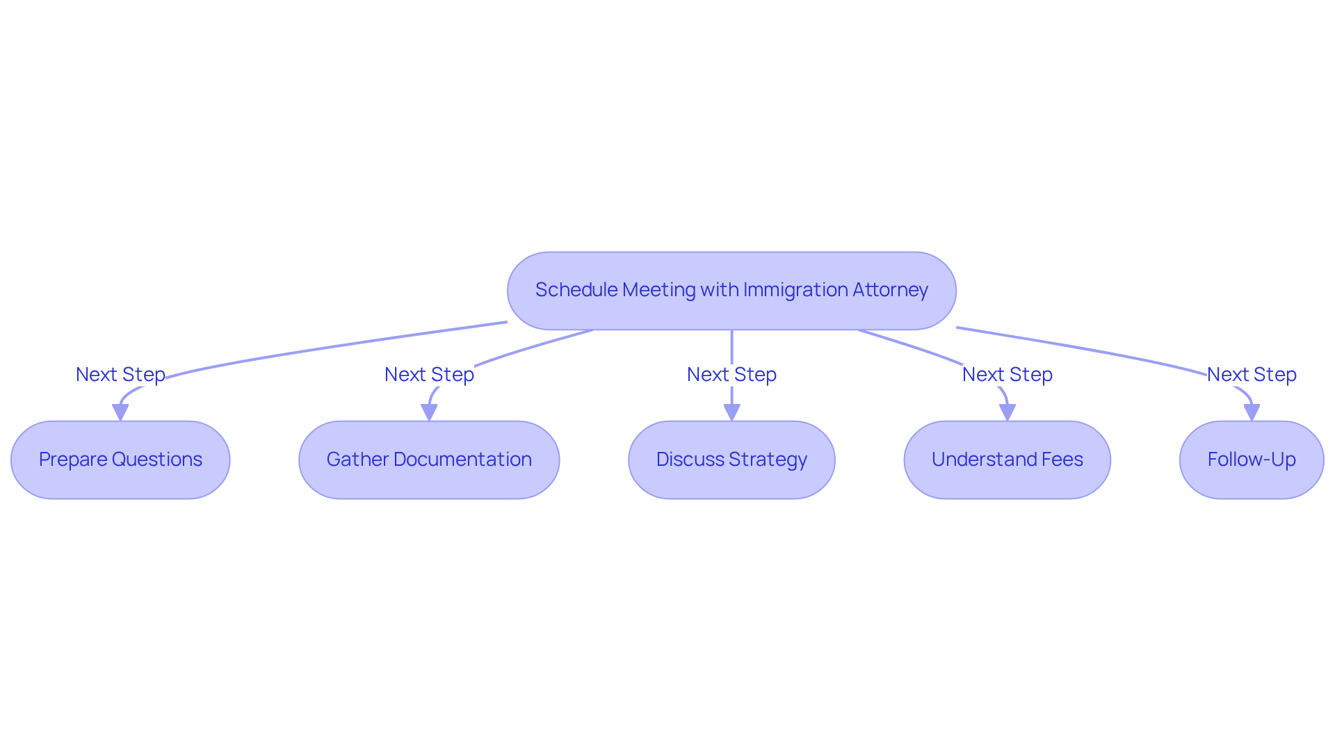 Each box represents a step in the process of consulting with your immigration attorney. Follow the arrows to see how to prepare for your meeting and what to expect during the naturalization process.