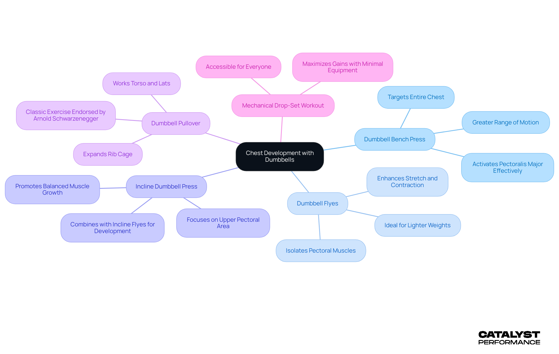 The central node represents the main goal of chest development, while each branch shows a specific exercise. Follow the branches to learn about each exercise's unique benefits and how they contribute to building a strong upper body.
