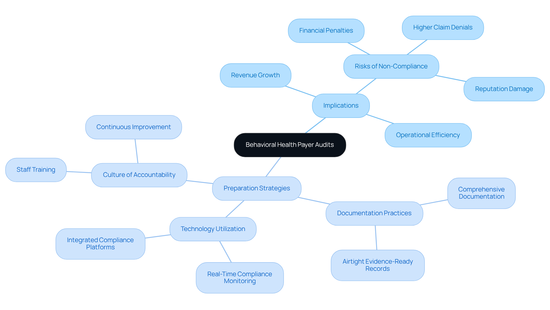 The center represents the main topic of payer audits. Follow the branches to see the implications of these audits and the strategies providers can adopt to prepare effectively.