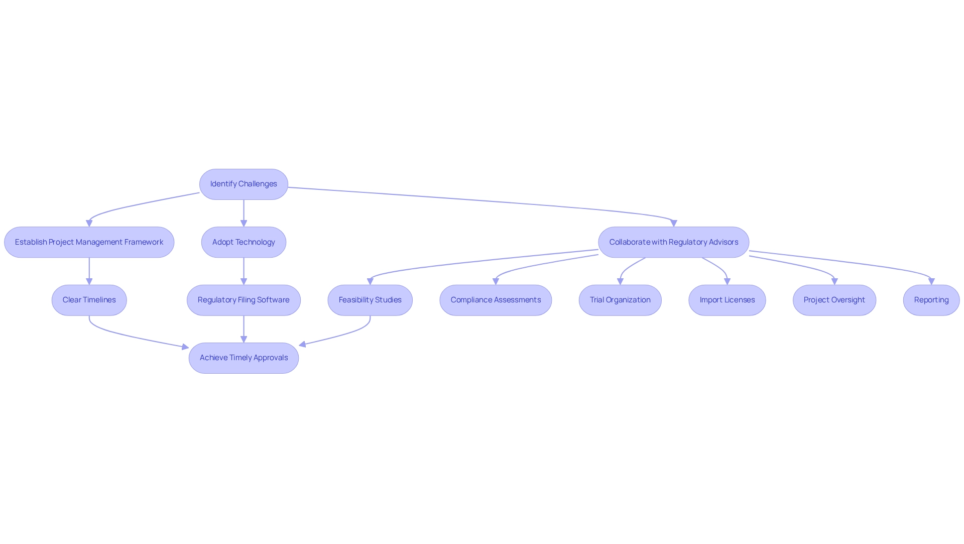 This flowchart outlines the steps to tackle challenges in the ANVISA submission process. Follow the arrows from identifying challenges through various solutions to see how each action contributes to achieving timely approvals.