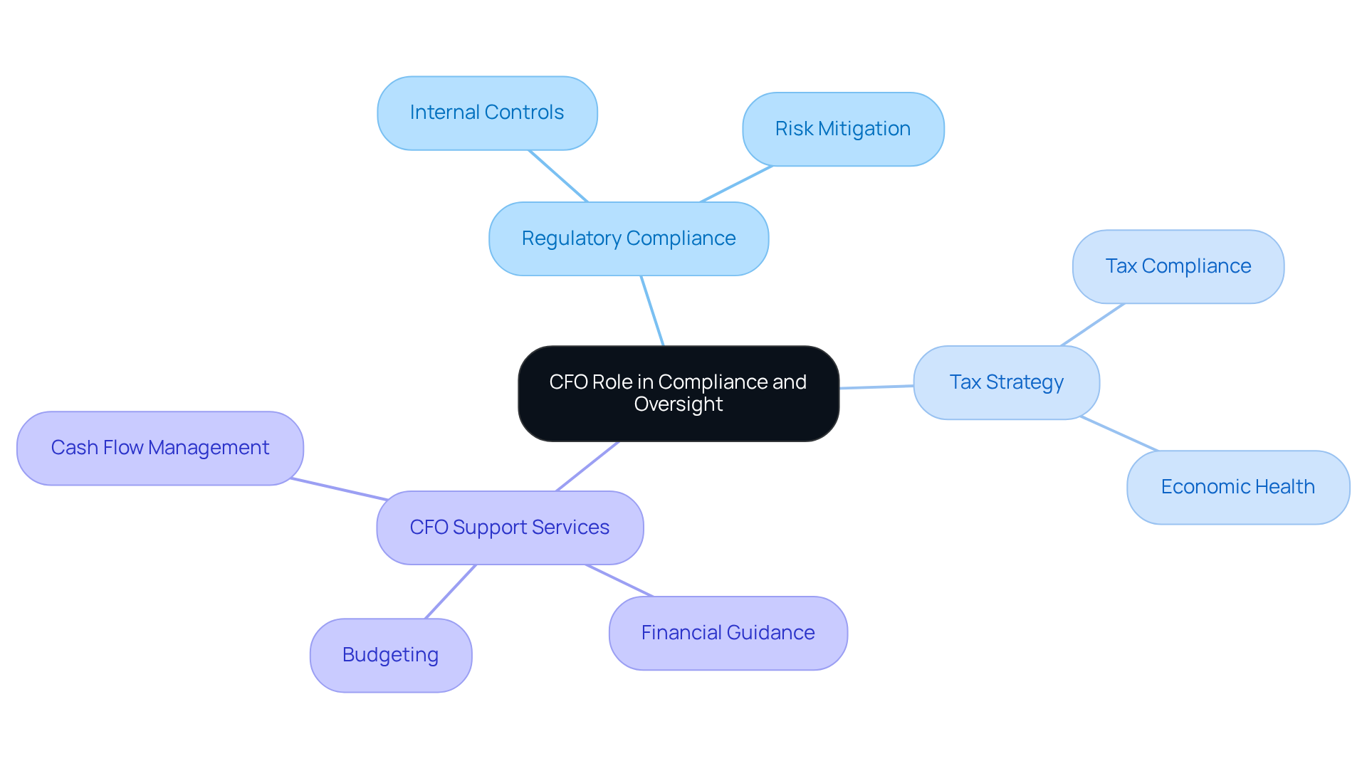 The central node represents the CFO's role, with branches showing key areas of focus. Each sub-branch details specific actions or strategies related to compliance and financial management.