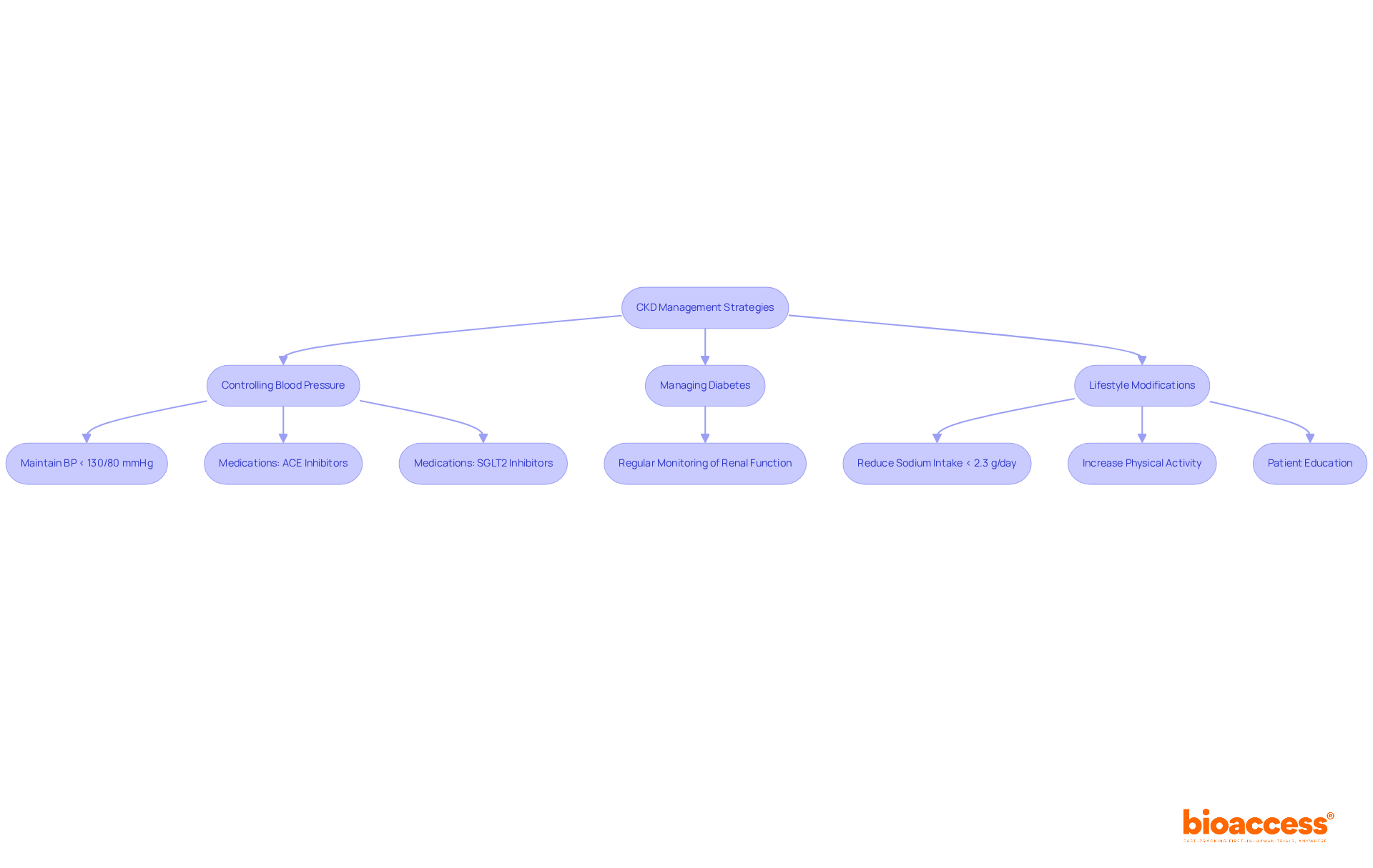 Each branch represents a key strategy for managing CKD. Follow the arrows to see how they connect and what specific actions can be taken to improve outcomes.