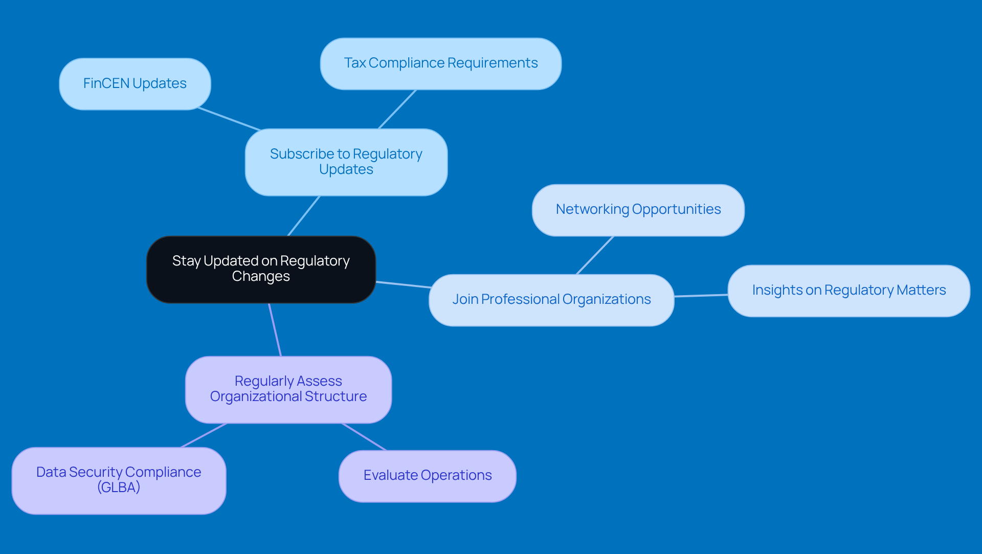 Begin at the center with the main theme, and follow the branches to explore actionable tips that help your business stay compliant and informed about regulatory changes.