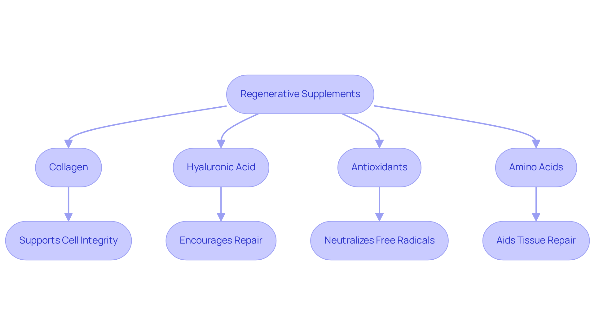 This flowchart shows how different components of regenerative supplements contribute to healing. Each box represents a key ingredient, and the arrows indicate how they help in the recovery process.