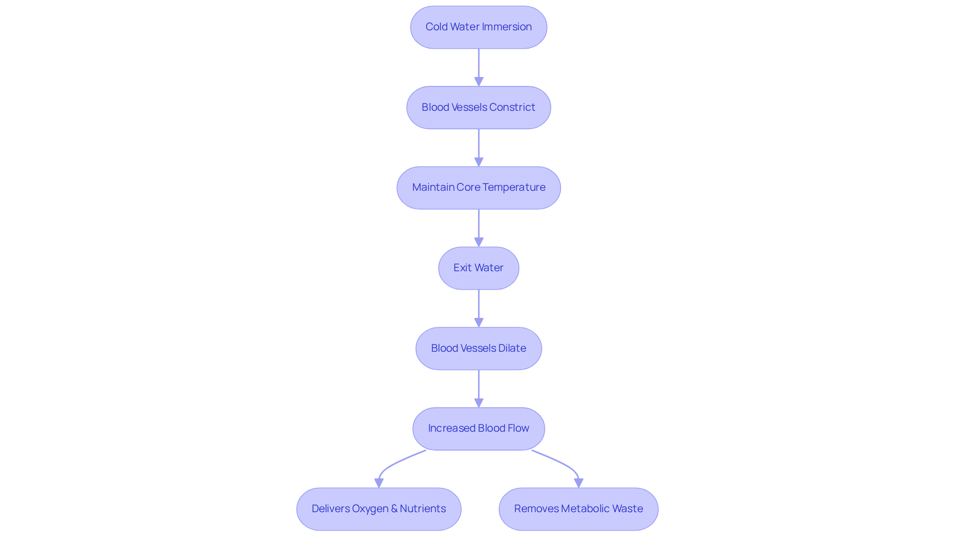 Follow the arrows to see how cold water immersion affects your body: from constriction to dilation of blood vessels, leading to faster recovery and better performance. Follow the arrows to see how cold water immersion affects your body: from constriction to dilation of blood vessels, leading to faster recovery and better performance.