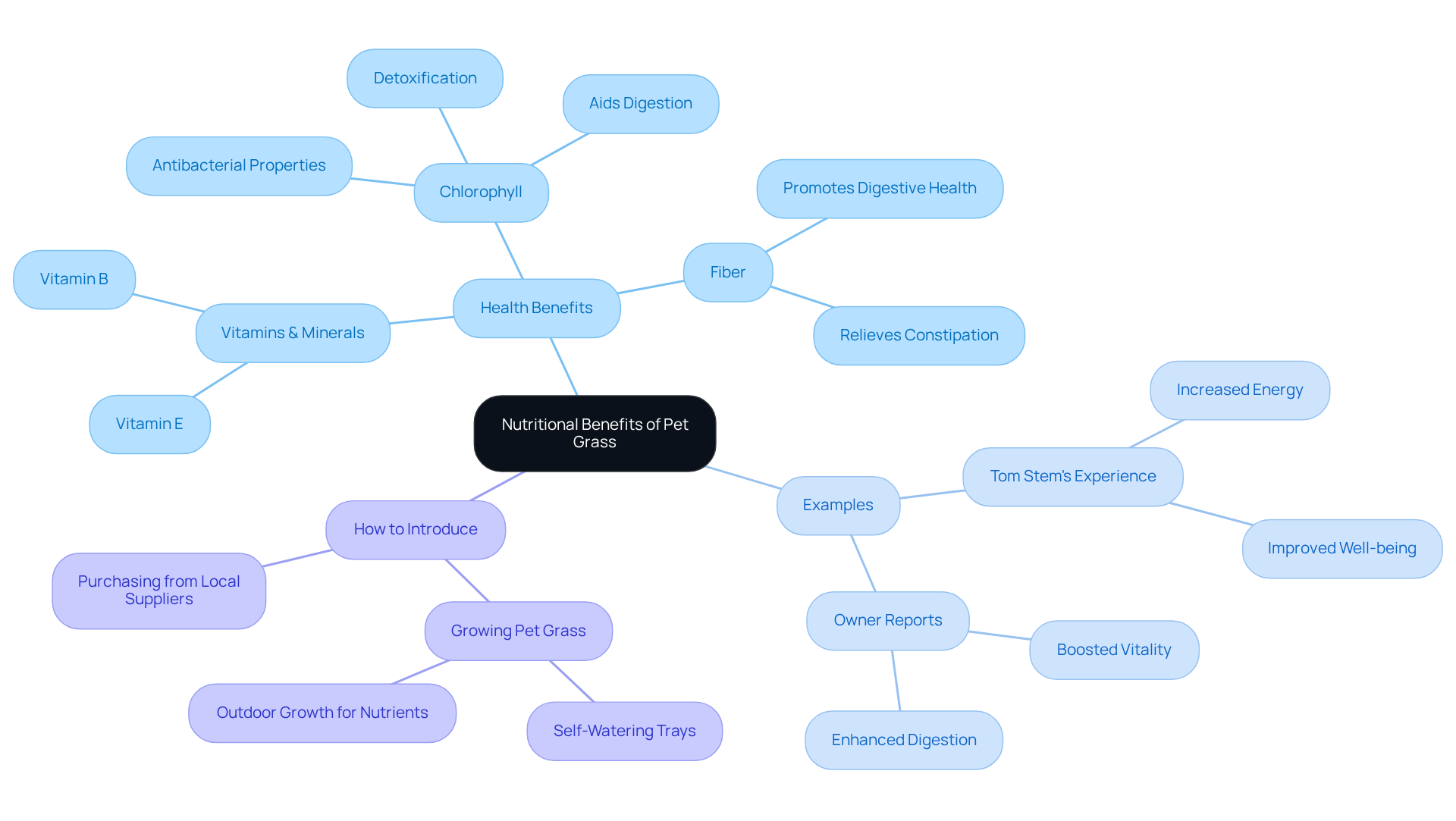 This mindmap shows how wheatgrass can benefit your pet's health. Start at the center with the main idea, then follow the branches to see the specific health benefits, real-life examples, and ways to add it to your pet's diet.