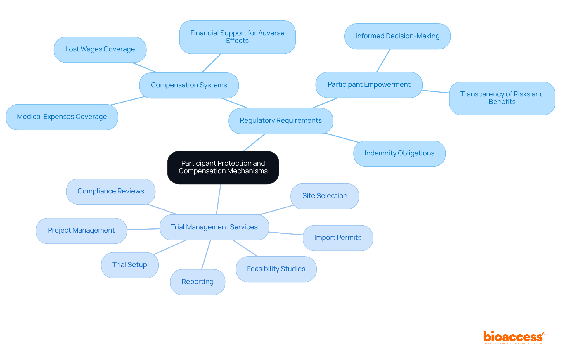 The central node represents the main topic, while the branches show the key areas of focus. Each sub-branch provides specific details related to participant protection and the services offered by sponsors.