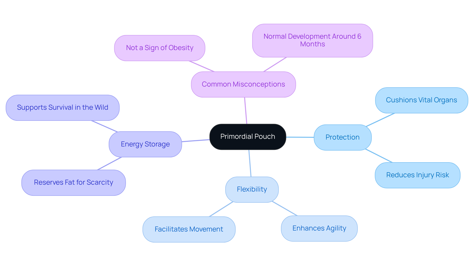 The central idea is the primordial pouch, and each branch represents a key function or common misunderstanding. Follow the branches to discover how each aspect contributes to the overall health and agility of your feline friend. The central idea is the primordial pouch, and each branch represents a key function or common misunderstanding. Follow the branches to discover how each aspect contributes to the overall health and agility of your feline friend.