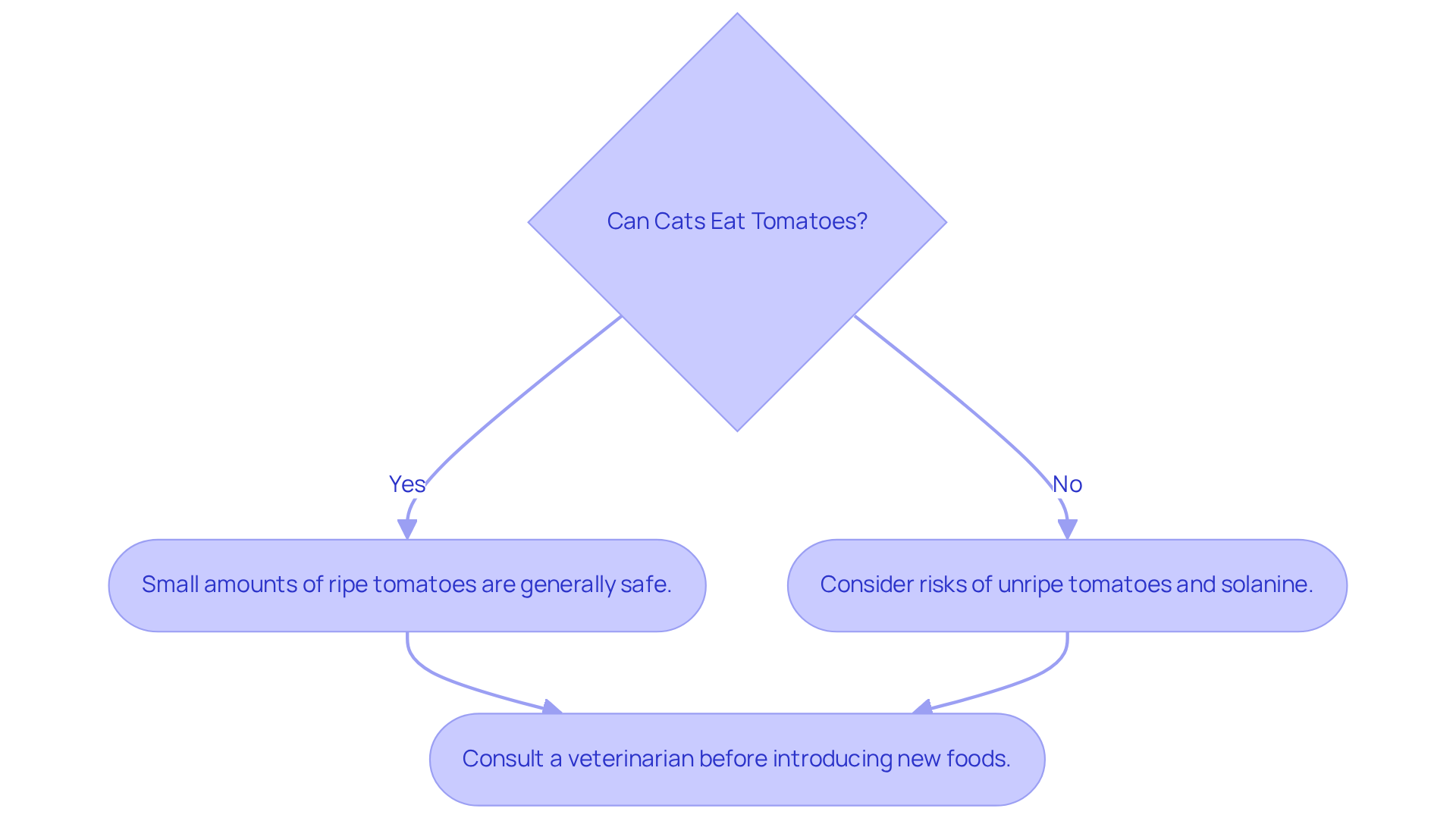 This flowchart guides you through the considerations for feeding tomatoes to your cat. Follow the arrows to see if it’s safe, what risks to consider, and the importance of consulting a vet.