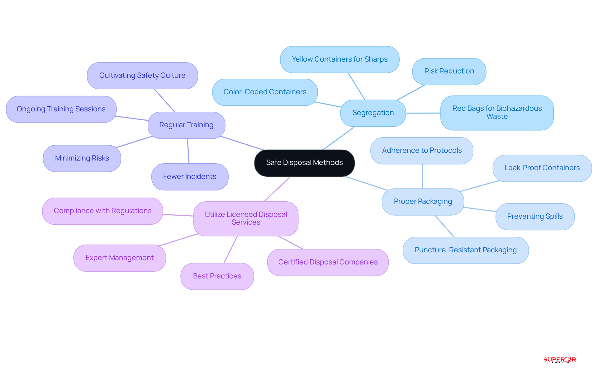 The central node represents the overall theme of safe disposal methods. Each branch shows a specific strategy, and the sub-branches provide details about that strategy. This layout helps you understand how each strategy contributes to safe waste management. The central node represents the overall theme of safe disposal methods. Each branch shows a specific strategy, and the sub-branches provide details about that strategy. This layout helps you understand how each strategy contributes to safe waste management.