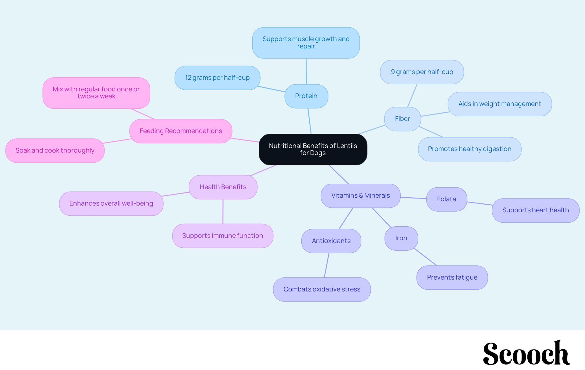 The central node represents the main topic, while branches show different aspects of how lentils benefit dogs. Each subcategory highlights specific nutrients or health benefits, helping you visualize the comprehensive advantages of including lentils in your dog's diet.