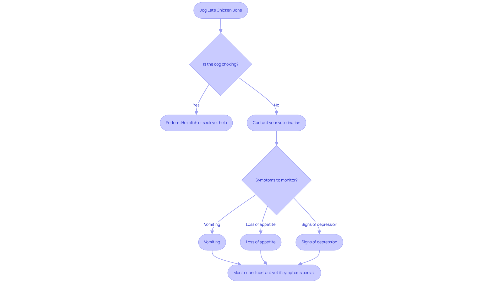 Follow the boxes and arrows to understand what actions to take in this situation. Each step guides you through assessing your dog's condition and what to do next.