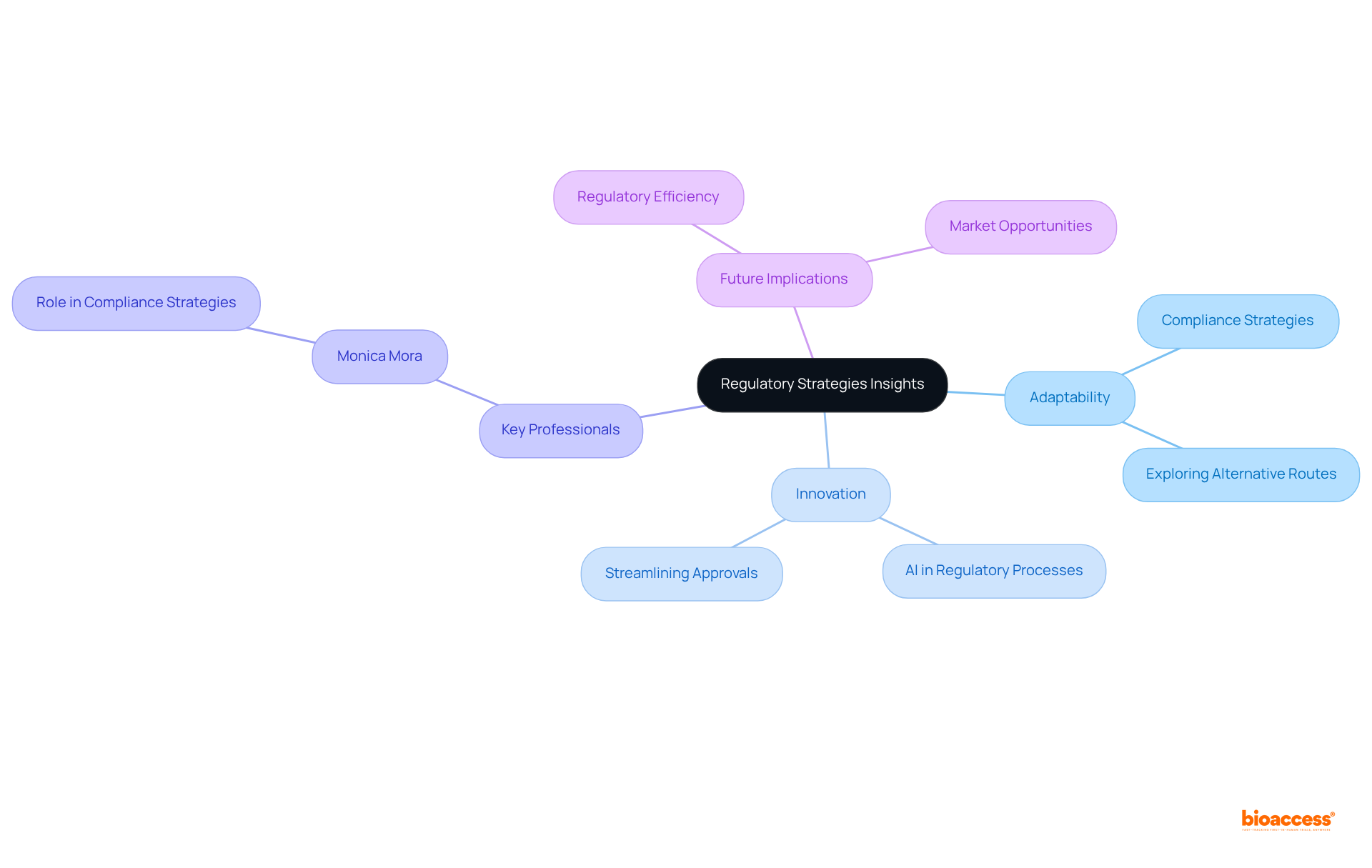 Begin with the central theme of regulatory strategies. Each branch represents a crucial concept connected to how companies can navigate the evolving landscape, with specific emphasis on adaptability and the role of experts. Begin with the central theme of regulatory strategies. Each branch represents a crucial concept connected to how companies can navigate the evolving landscape, with specific emphasis on adaptability and the role of experts.