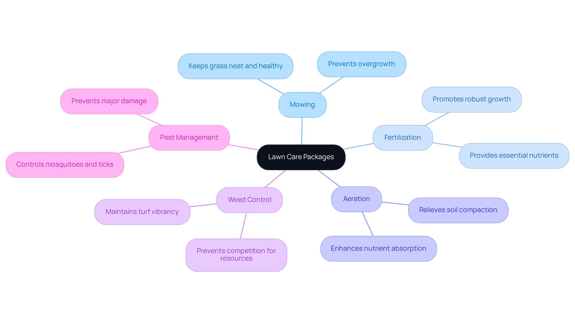 The central node represents lawn care packages, and each branch shows a specific service included. Follow the branches to understand how each service helps maintain a beautiful lawn.