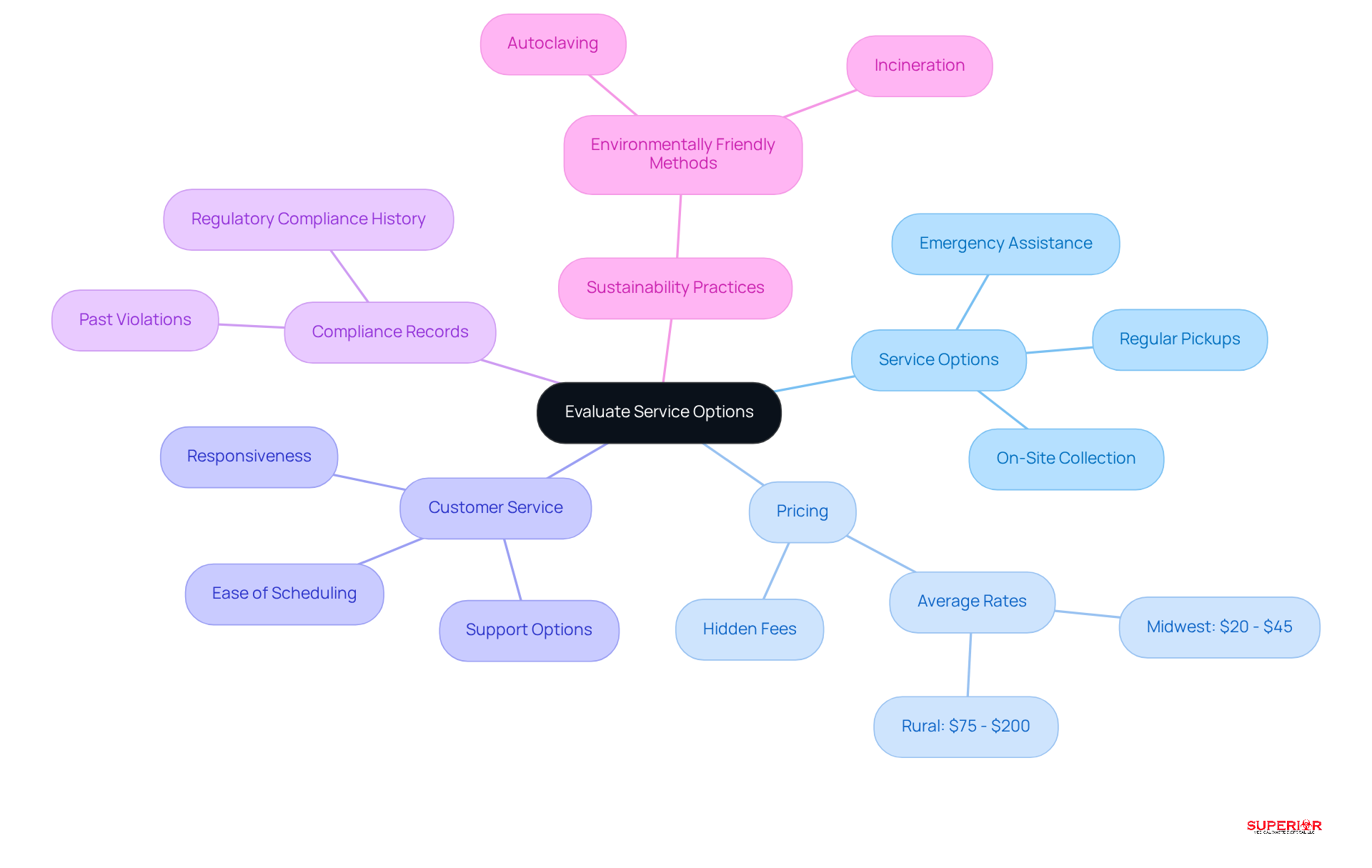 The center represents the main goal of evaluating service options, while the branches show the key criteria to consider. Each sub-branch provides more detail about what to look for in each category.