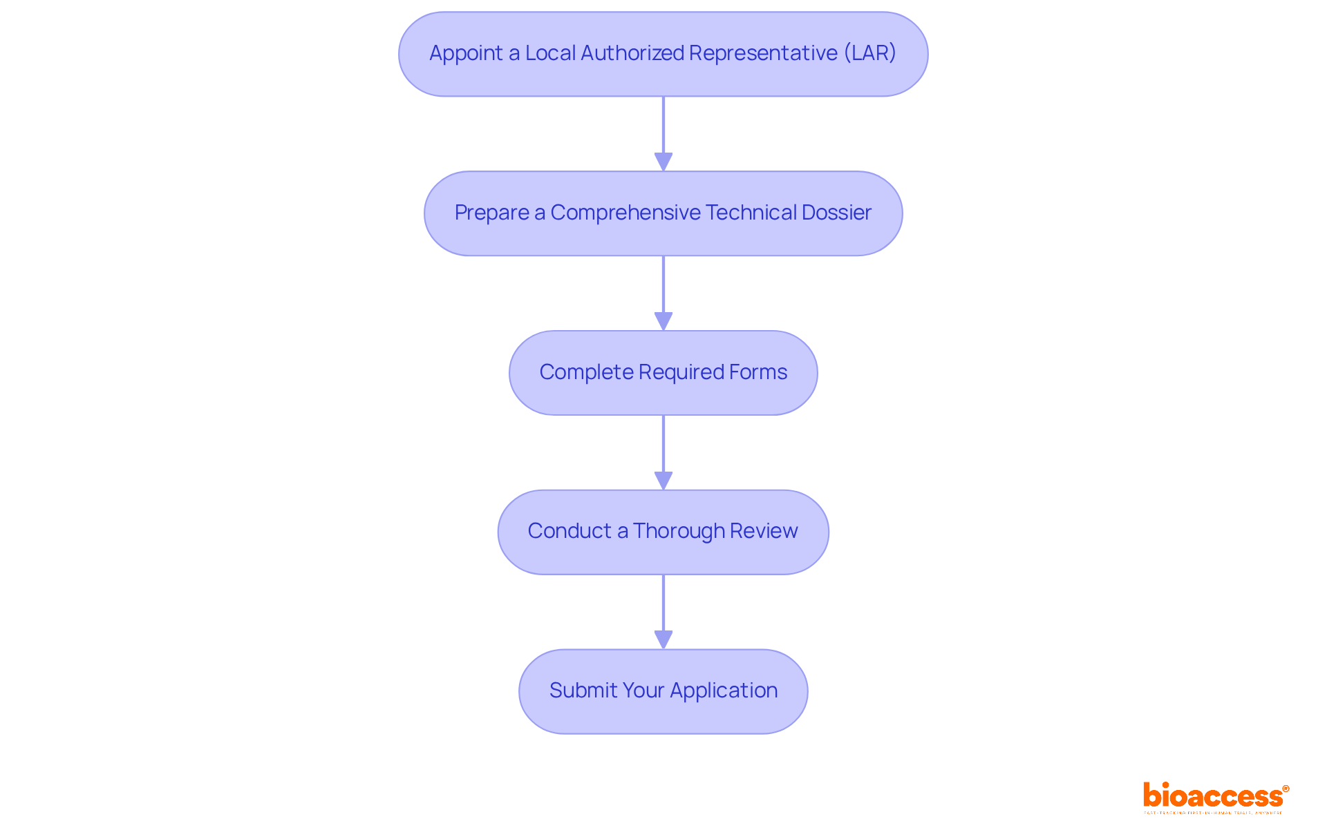 Each box represents a crucial step in the application process. Follow the arrows to see how to navigate from appointing a representative to submitting your application.