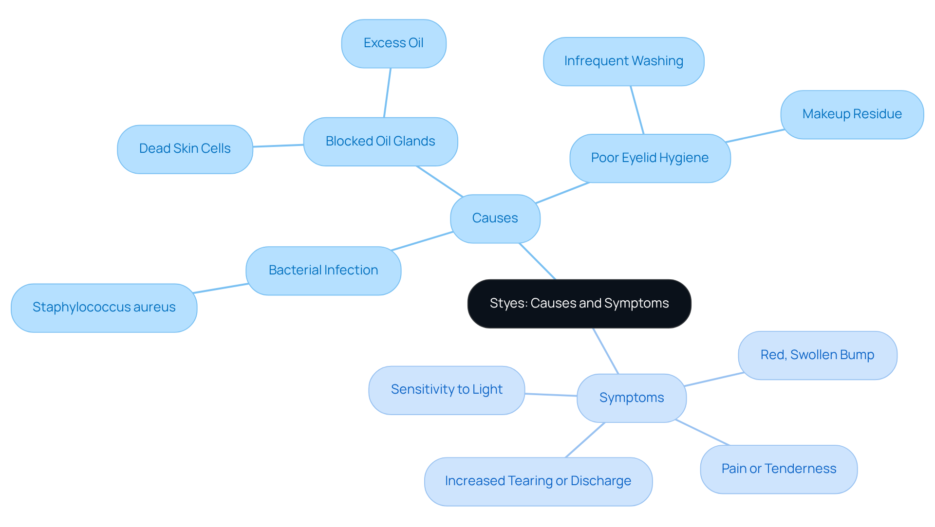 The central node represents styes, with branches showing what causes them and what symptoms to look for. Each branch helps you see how different factors are related to styes.