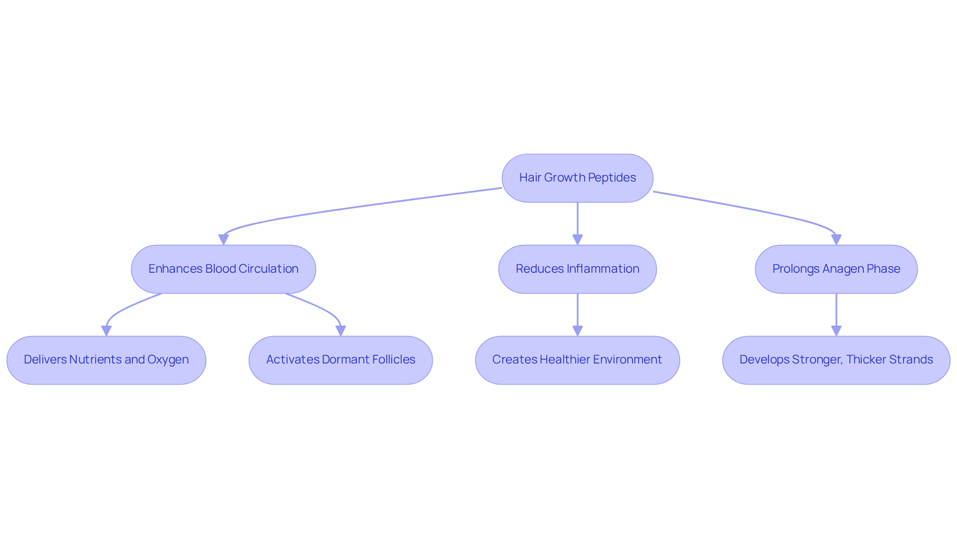 This flowchart shows the process of how hair growth peptides work. Start at the top with the peptides, then follow the arrows to see how they enhance blood flow, reduce inflammation, and prolong the growth phase, leading to healthier hair.