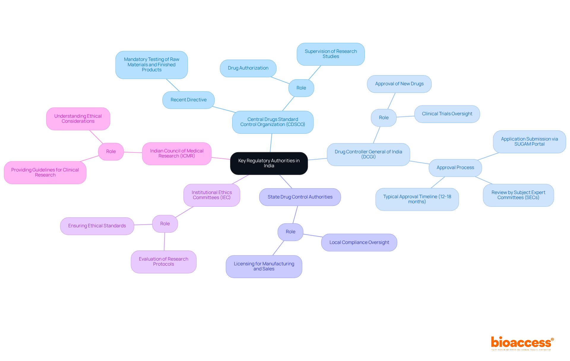 Start at the center with the main topic, then follow the branches to explore each regulatory authority and their specific roles in drug regulation.