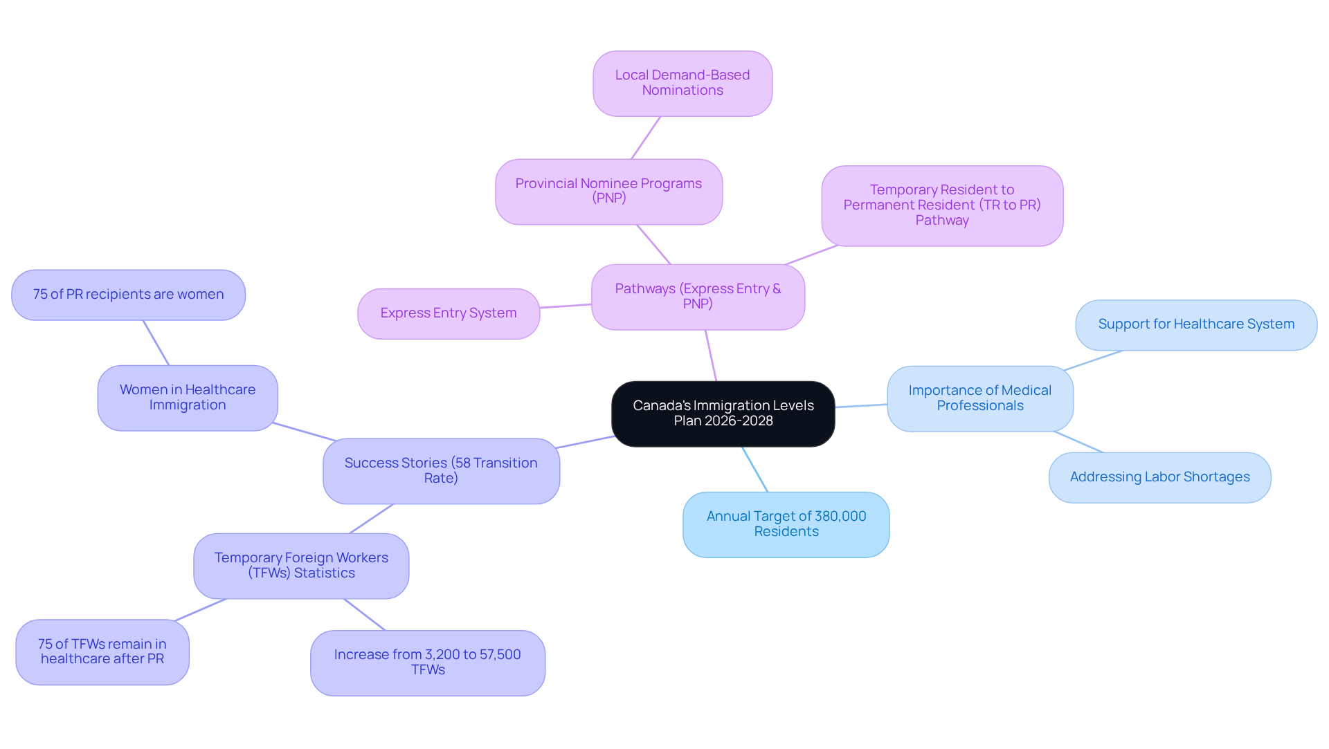 The center represents the overall immigration plan, while the branches show important details like targets, success rates, and specific pathways for medical professionals. Follow the branches to understand how each part contributes to the overall strategy.
