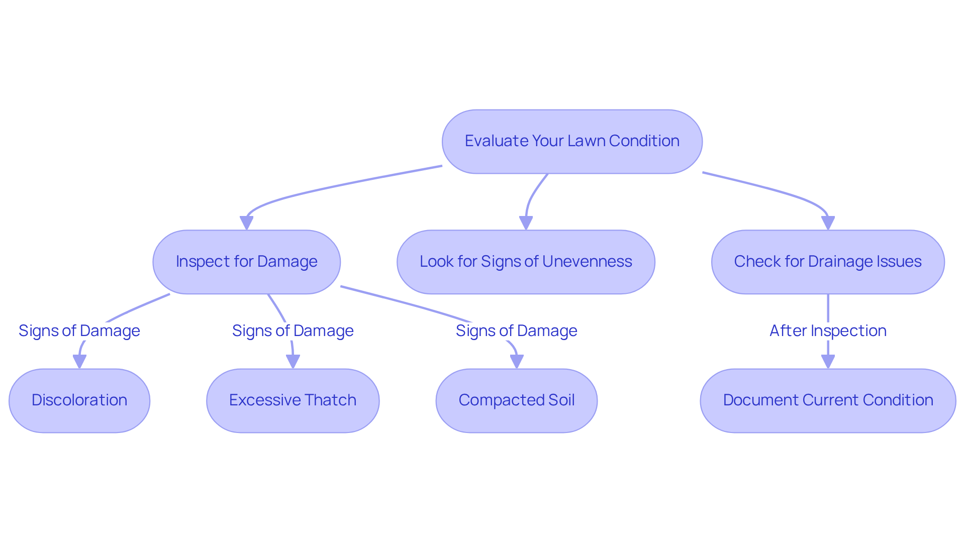 Follow the arrows to see each step in evaluating your lawn. Each box represents a specific action or sign to check for, ensuring you don't miss anything important before installing synthetic grass.