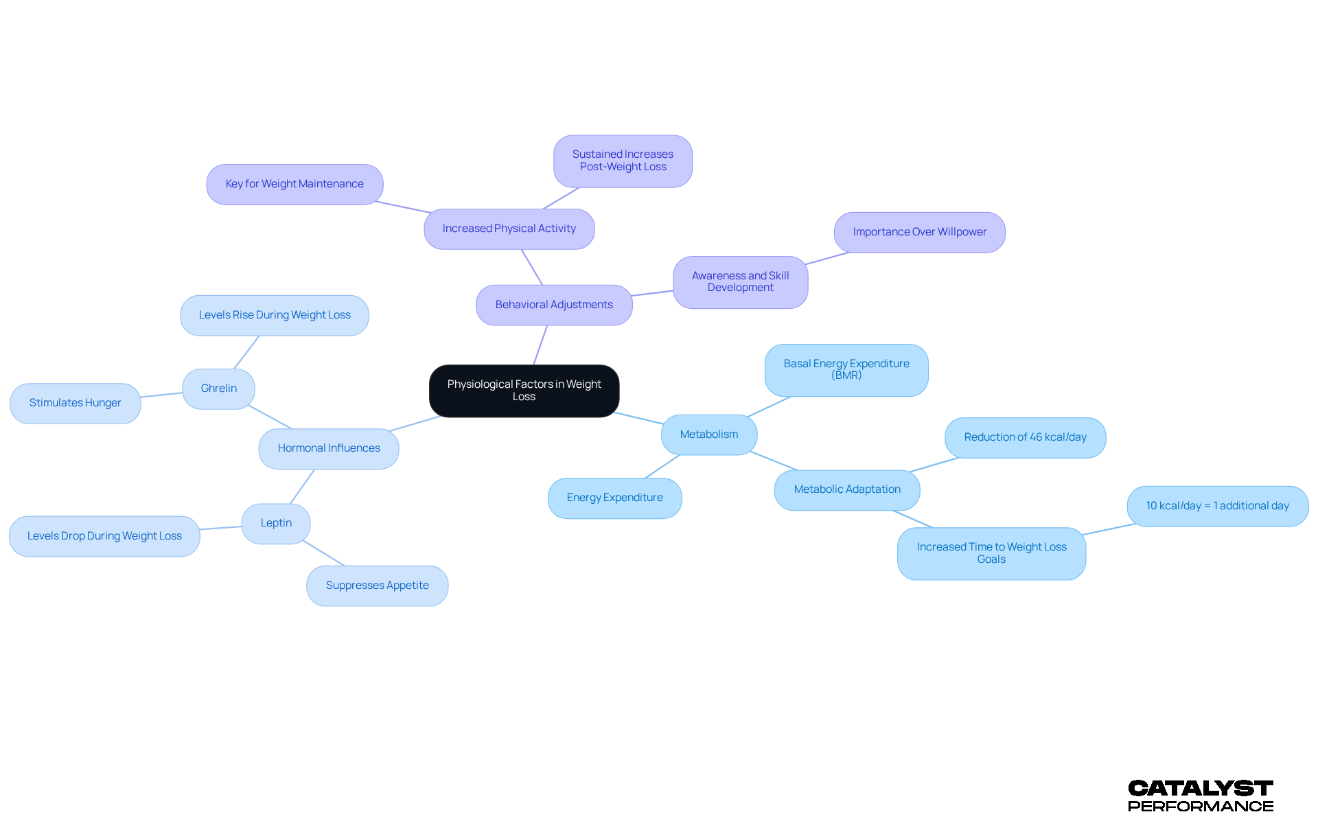 The central node represents the main topic, while branches show key areas of influence. Each sub-node provides specific details about how these factors interact in the weight loss journey. The central node represents the main topic, while branches show key areas of influence. Each sub-node provides specific details about how these factors interact in the weight loss journey.