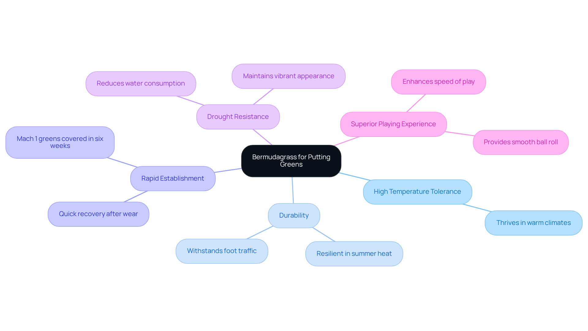 This mindmap illustrates the main benefits of Bermudagrass for putting greens. Start at the center with the grass type, then follow the branches to explore its various advantages, making it easy to see how each feature contributes to its effectiveness in warm climates. This mindmap illustrates the main benefits of Bermudagrass for putting greens. Start at the center with the grass type, then follow the branches to explore its various advantages, making it easy to see how each feature contributes to its effectiveness in warm climates.