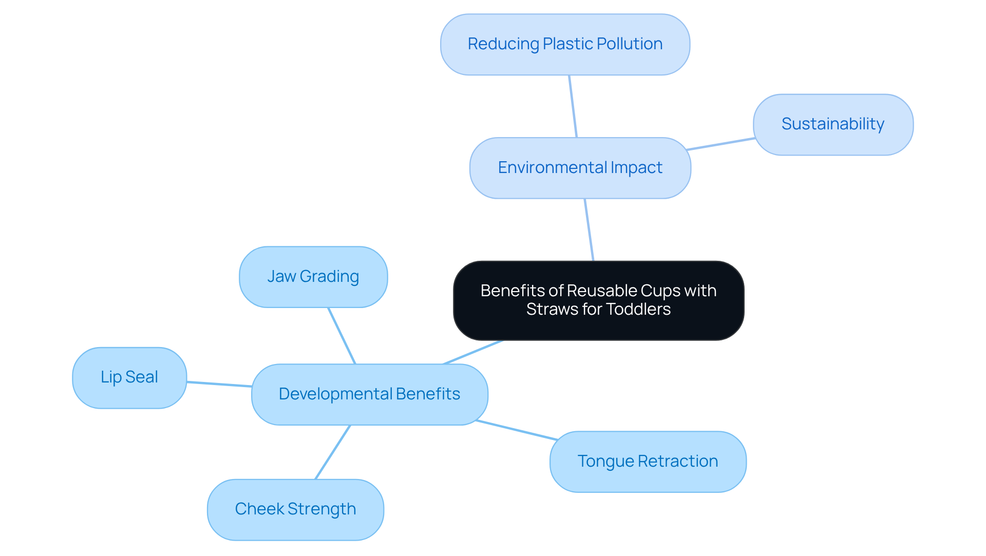 The central idea is the benefits of reusable cups with straws. The branches show how they help toddlers develop important skills and contribute to a healthier planet. Each skill is a sub-point under developmental benefits, while environmental considerations are grouped together.