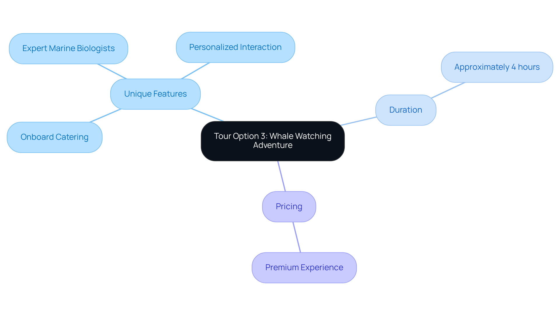 The center represents the tour option, and the branches show its unique features, duration, and pricing. Each branch helps you understand what makes this tour special. The center represents the tour option, and the branches show its unique features, duration, and pricing. Each branch helps you understand what makes this tour special.