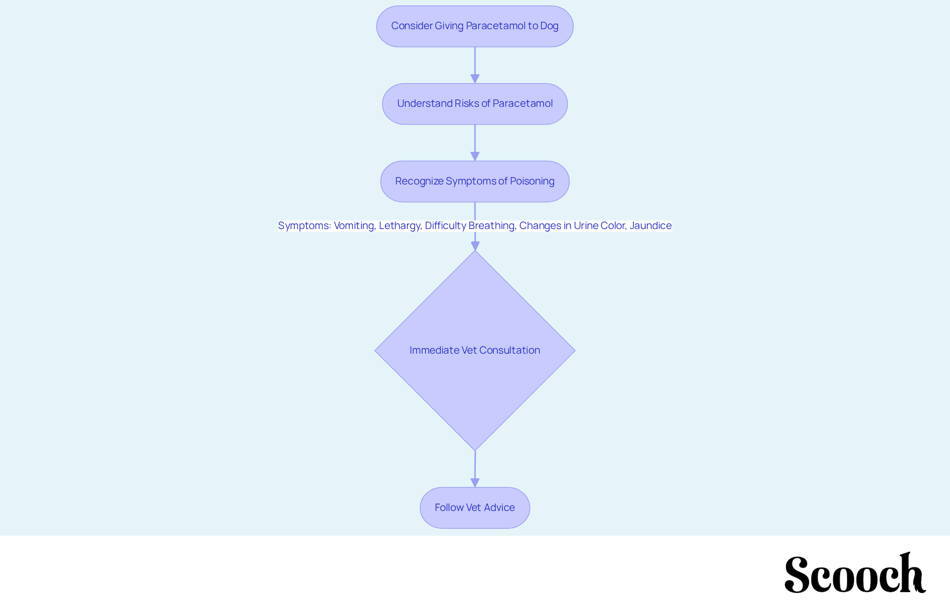 This flowchart guides you through the steps to take regarding paracetamol use for dogs. It starts with considering the medication, followed by understanding the risks, recognizing symptoms, and the importance of consulting a vet. This flowchart guides you through the steps to take regarding paracetamol use for dogs. It starts with considering the medication, followed by understanding the risks, recognizing symptoms, and the importance of consulting a vet.