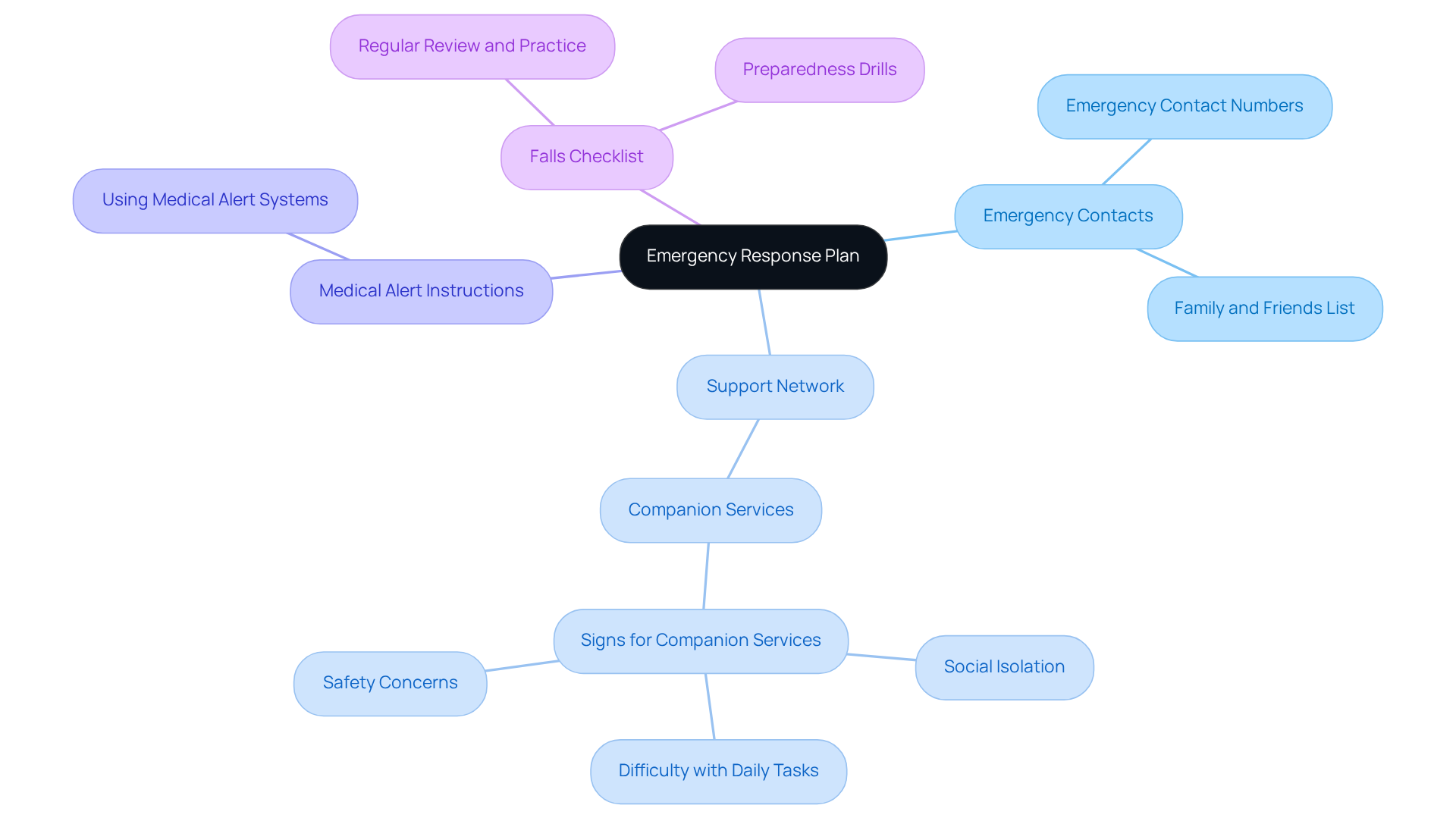 The central node represents the main plan, with branches showing vital components and actions that support emergency preparedness for older adults. Each color-coded branch helps distinguish between different areas of focus.