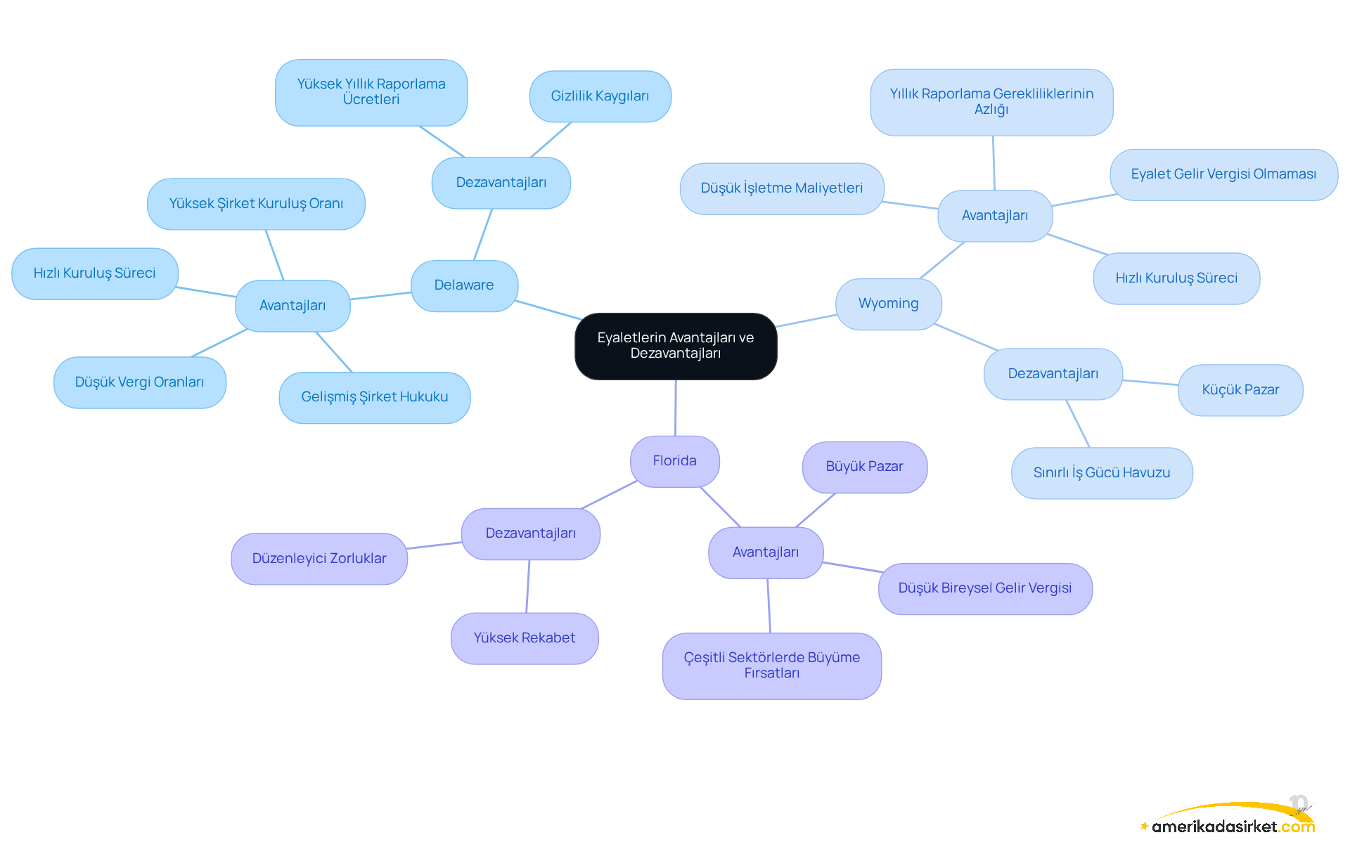 Merkezdeki başlık, tüm eyaletlerin avantaj ve dezavantajlarını kapsıyor. Her dal, belirli bir eyaletin özelliklerini gösteriyor. Avantajlar ve dezavantajlar, ilgili eyaletin altında alt dallar olarak yer alıyor.