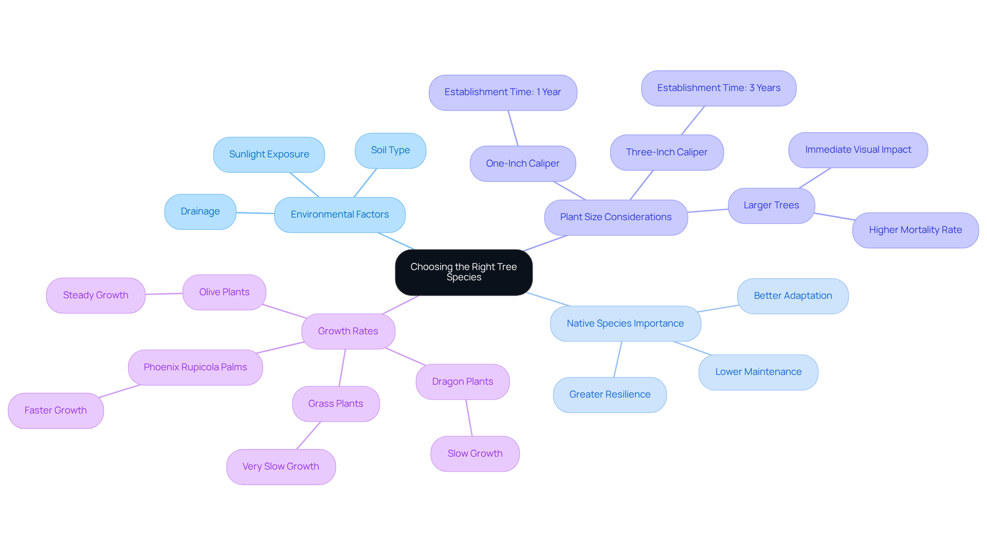 This mindmap helps you navigate the important aspects of selecting tree species for your project. Start at the center with the main topic, then explore the branches to see environmental factors, the significance of native species, size considerations, and specific growth rates for different plants.