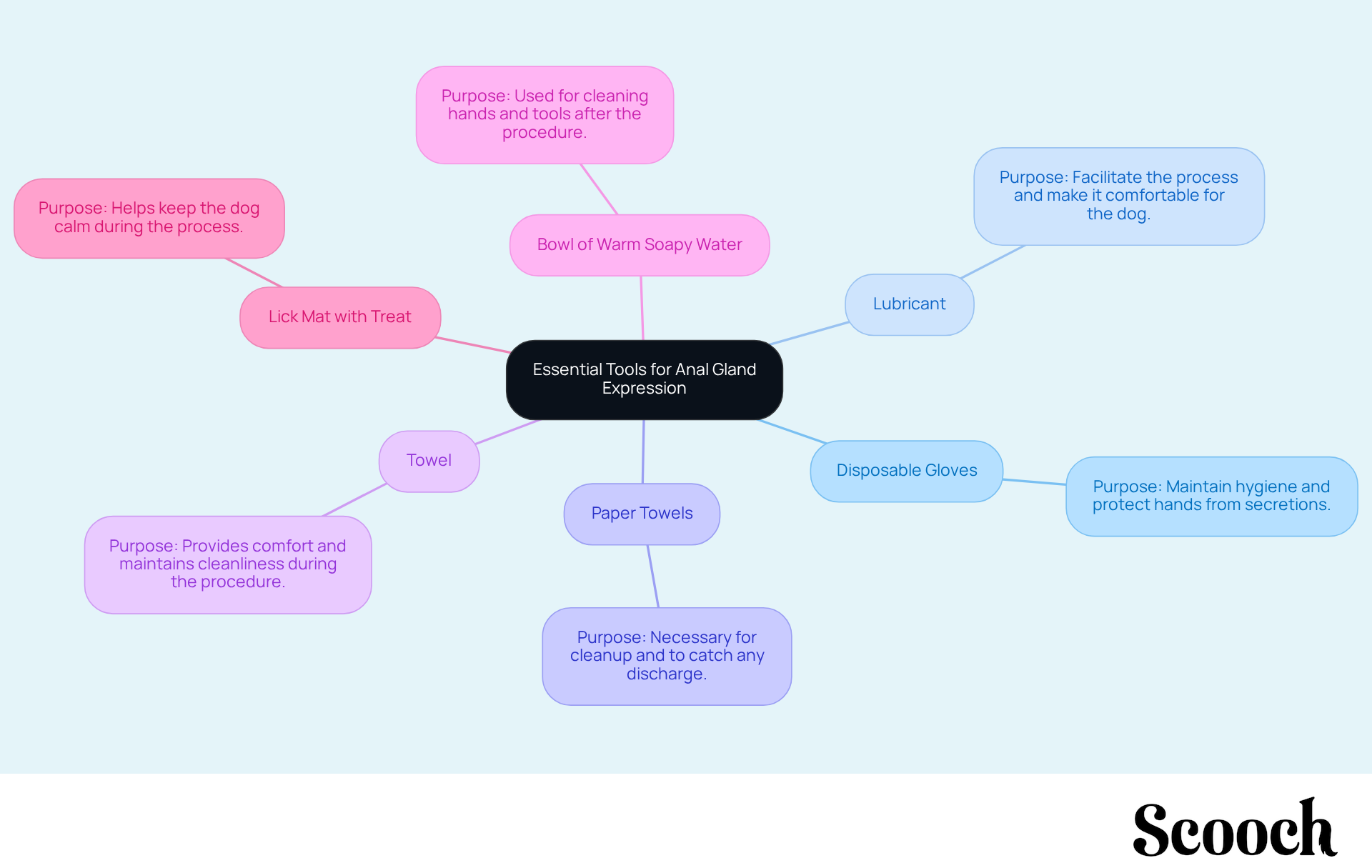 Each branch represents a tool you'll need for the process. The descriptions explain why each item is important, helping you prepare for a safe and comfortable experience for your dog.