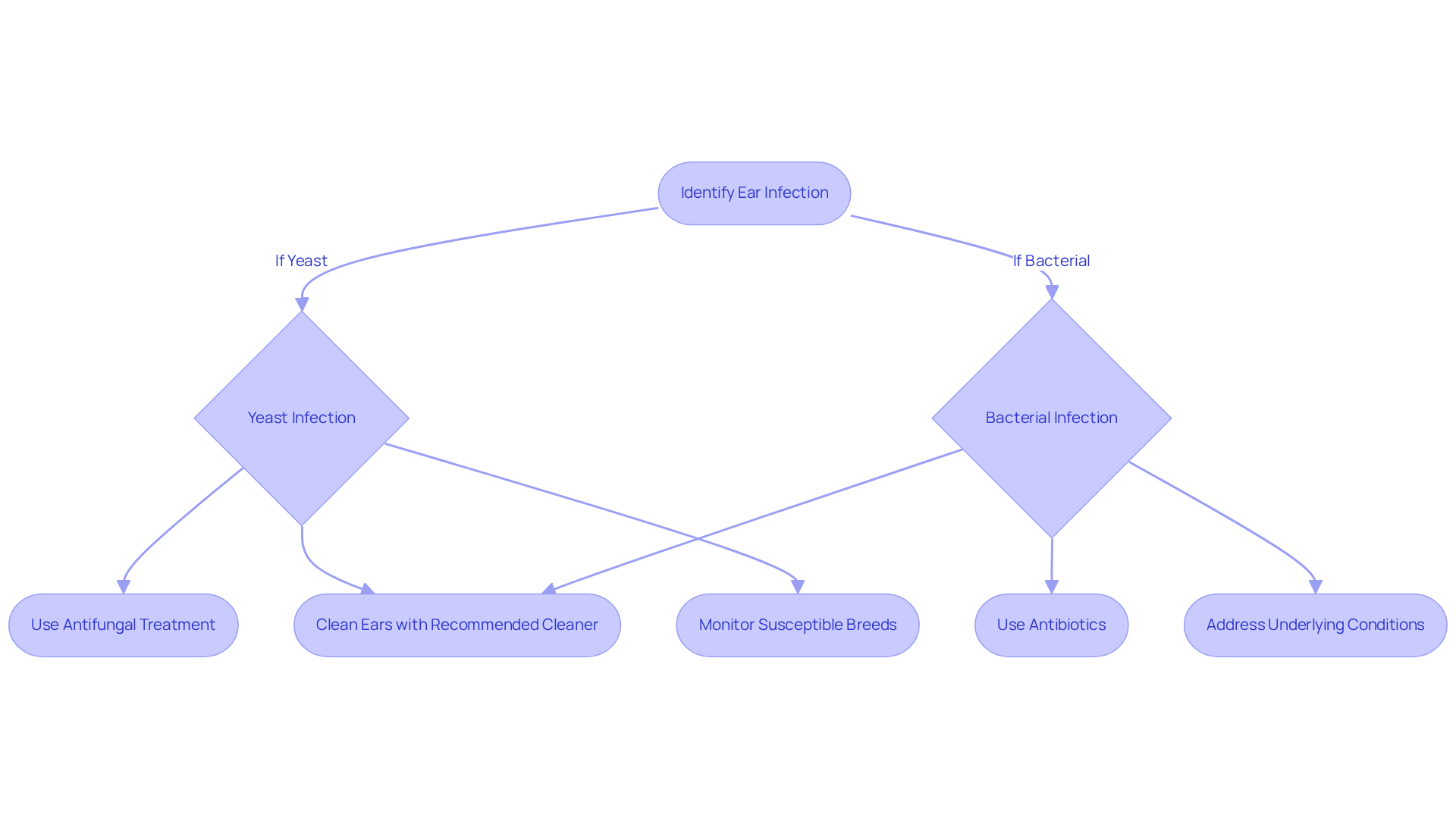Follow the flowchart to see how to treat ear infections. Start by identifying the type of infection, then follow the branches to the appropriate treatments and necessary steps for care. Follow the flowchart to see how to treat ear infections. Start by identifying the type of infection, then follow the branches to the appropriate treatments and necessary steps for care.
