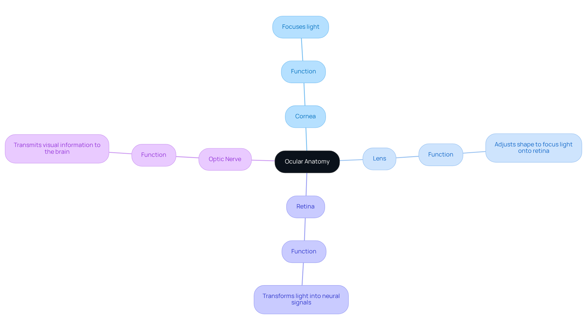 This mindmap illustrates the key components of the eye and their roles in vision. Start at the center with 'Ocular Anatomy' and follow the branches to learn about each part, like how the cornea focuses light or how the retina converts light into signals for the brain.