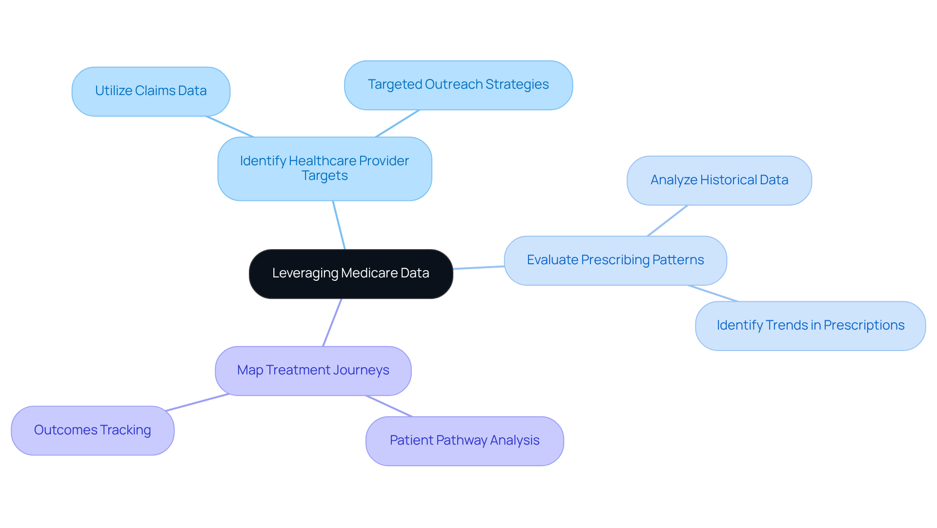 The center shows the main theme of leveraging Medicare data, while the branches illustrate different strategies that drug companies can use to enhance their market access efforts.