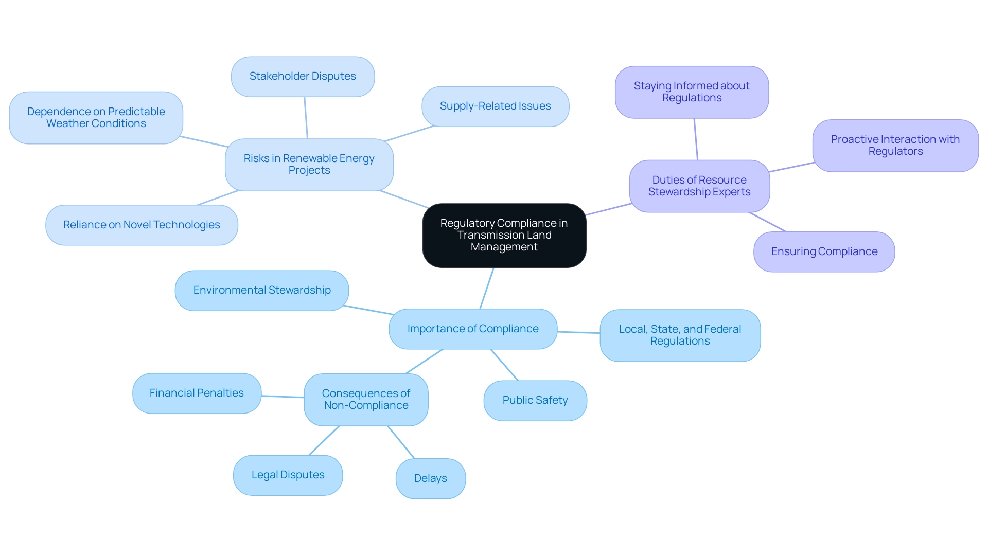 The central node represents the overall theme, with branches indicating key areas of focus: Importance, Risks, and Duties, each with specific subcategories.