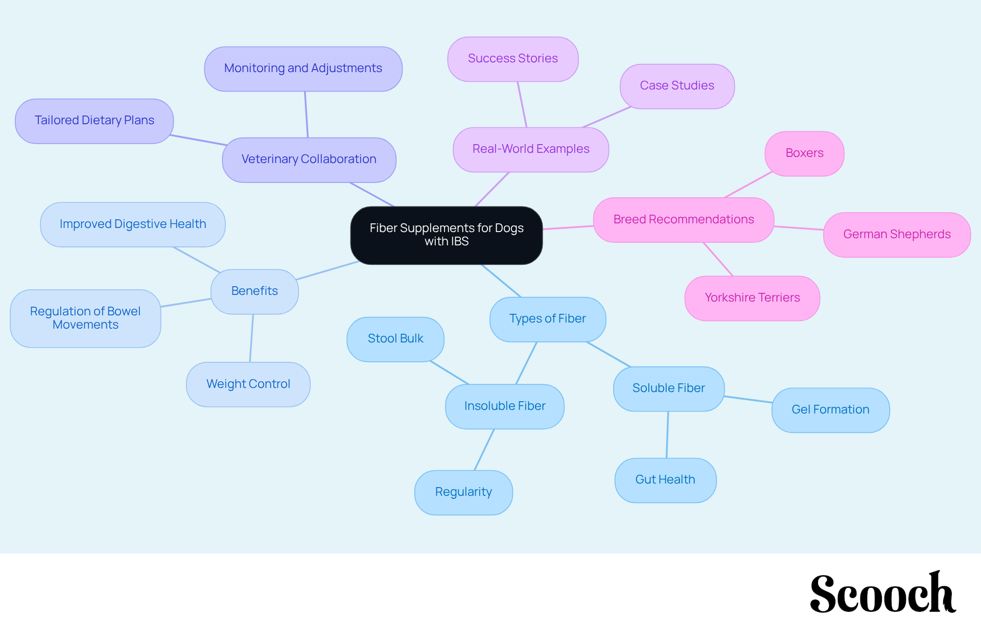 The center represents the overall topic of fiber supplements. Branches show different categories related to the main idea, with each sub-branch providing more detailed information on that category, making it easy to see how everything interconnects.
