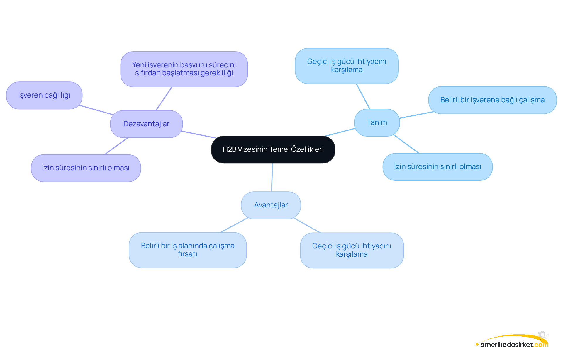 Merkezde H2B vizesinin özellikleri var. Dallara bakarak vizenin ne olduğunu, avantajlarını ve dezavantajlarını kolayca görebilirsin. Her dal, konunun farklı bir yönünü temsil ediyor.