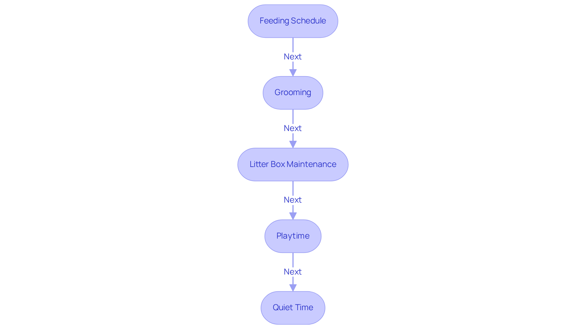 Each box represents a step in caring for your cat. Follow the arrows to see the order of tasks that will help keep your feline friend happy and healthy.