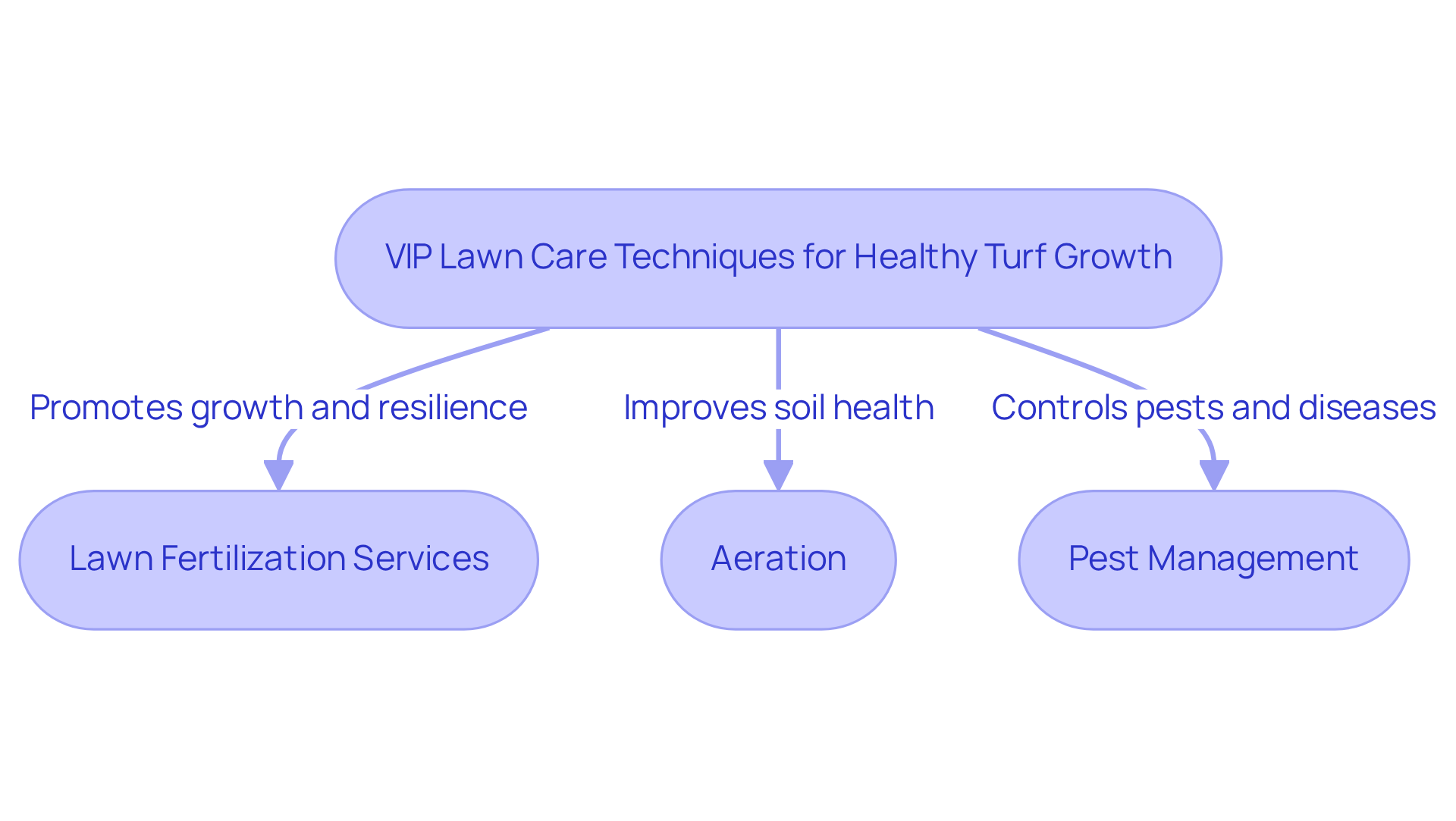 This flowchart shows the steps VIP Lawn Care takes to ensure your lawn is healthy and vibrant. Each box represents a technique that contributes to the overall health of your yard.