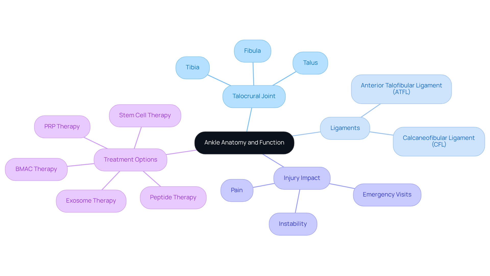 This mindmap illustrates the anatomy of the ankle and the impact of injuries. Start at the center with the ankle's anatomy, then explore how injuries affect it and what treatments are available. Each branch represents a different aspect, making it easy to see how everything connects. This mindmap illustrates the anatomy of the ankle and the impact of injuries. Start at the center with the ankle's anatomy, then explore how injuries affect it and what treatments are available. Each branch represents a different aspect, making it easy to see how everything connects.