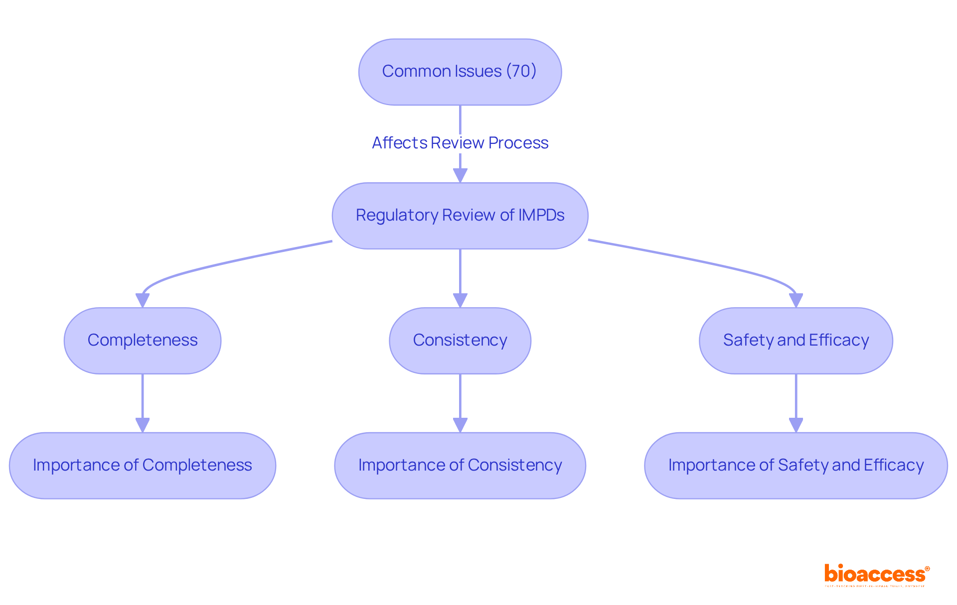 Follow the flow from the main review process down to each key aspect. The side note shows common issues that can affect the review, illustrating the importance of thorough preparation.