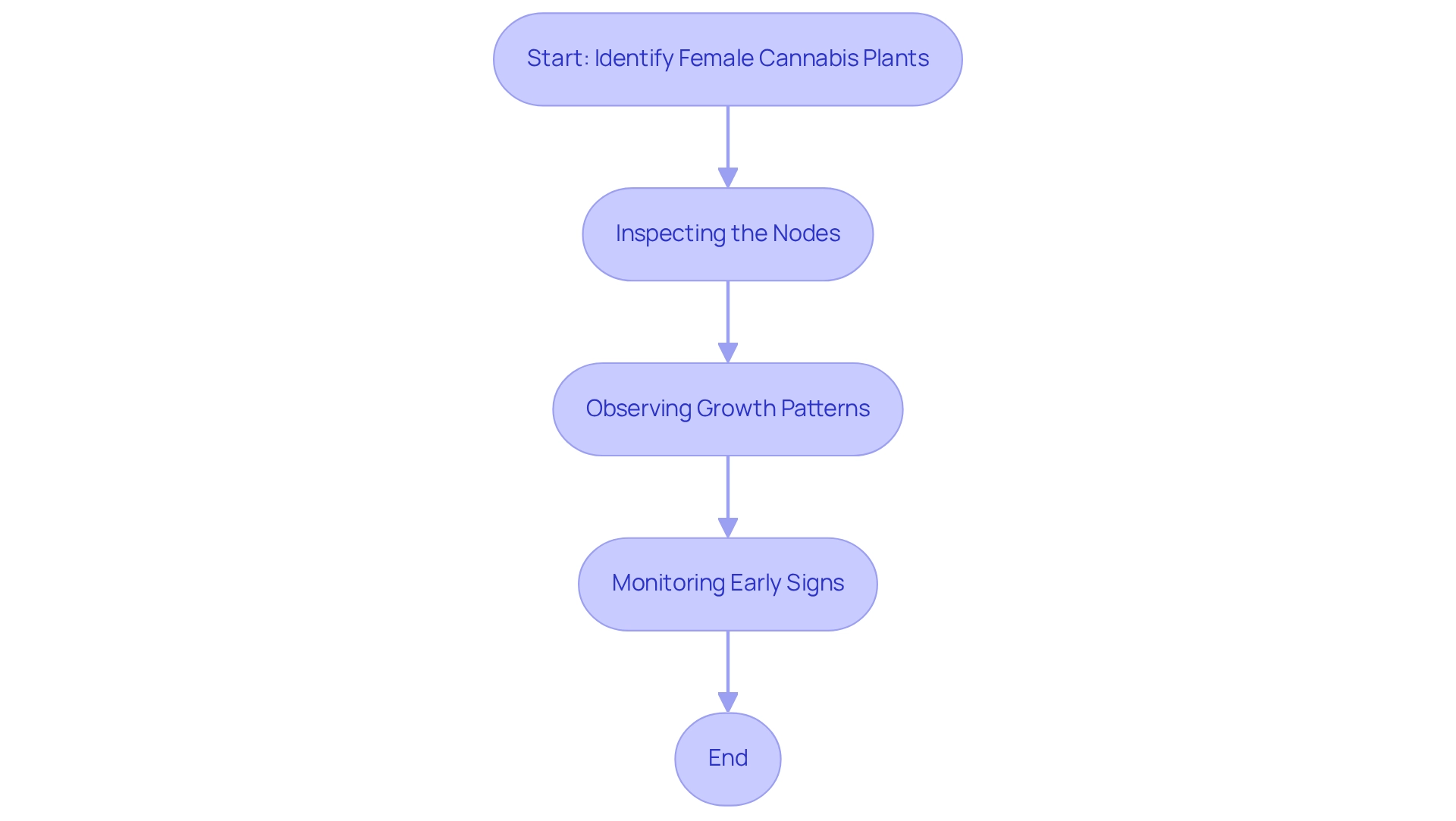 Each box represents a step in the process of identifying female cannabis plants. Follow the arrows from one step to the next to successfully determine the plant's sex.