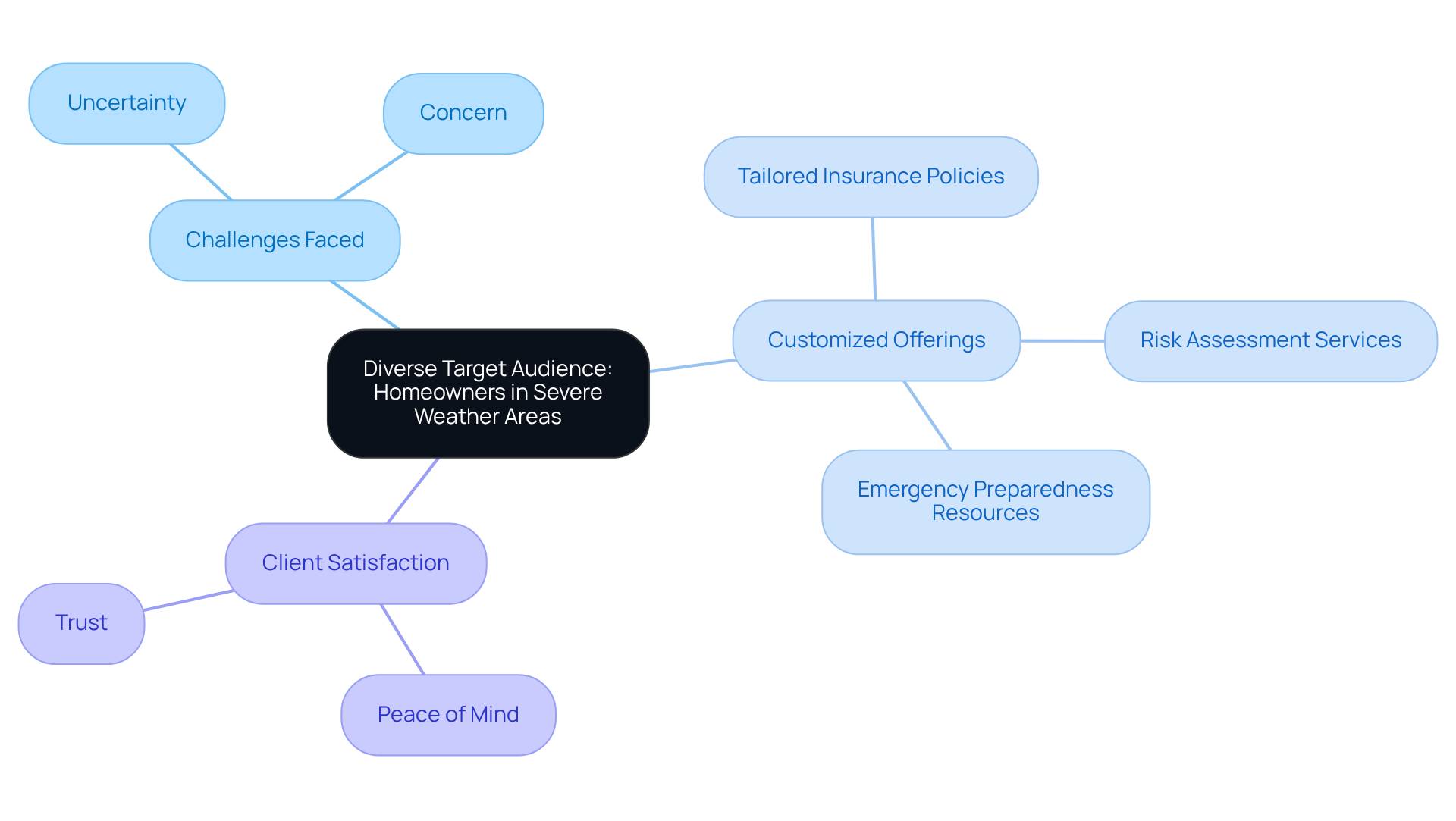 The central node represents our target audience, while the branches show the challenges they face, how we customize our services for them, and the satisfaction they gain from our offerings.