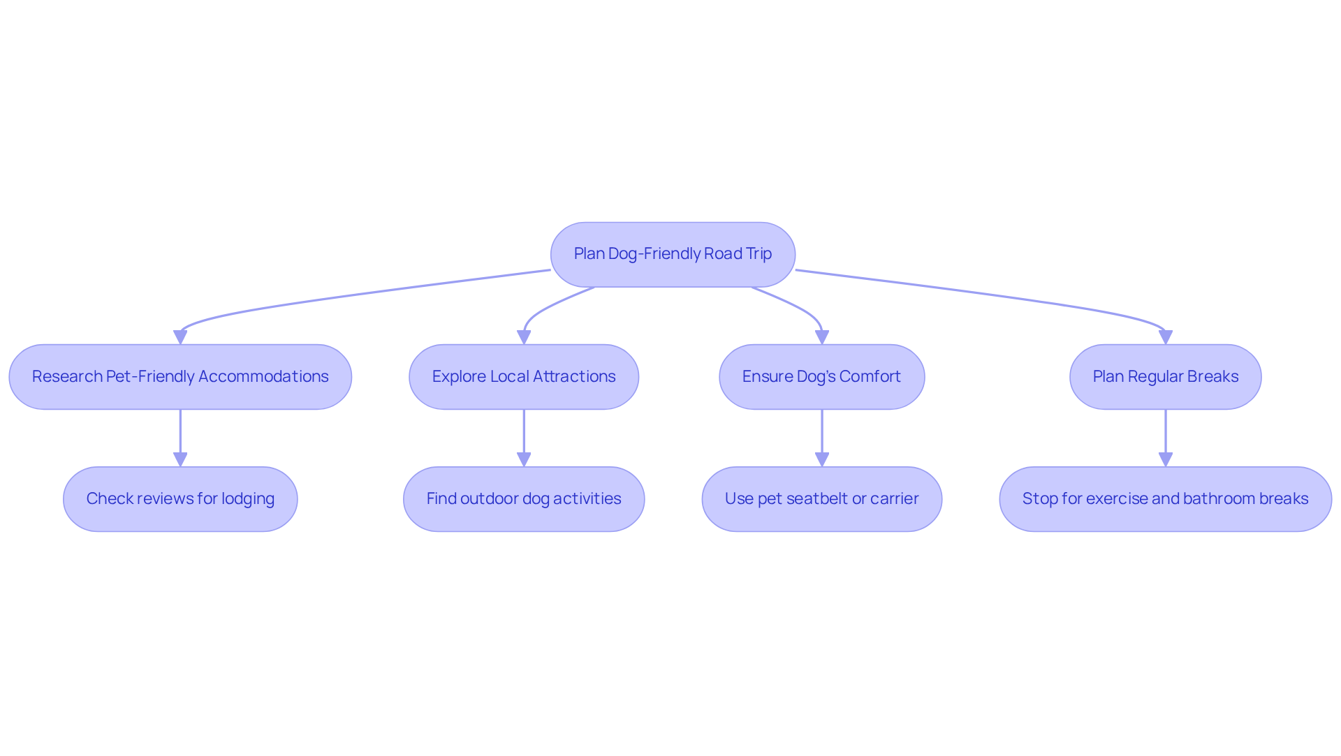 Follow the arrows to see each step in planning your adventure with your dog. Each box represents an important action to ensure a fun and safe trip for both you and your furry friend.