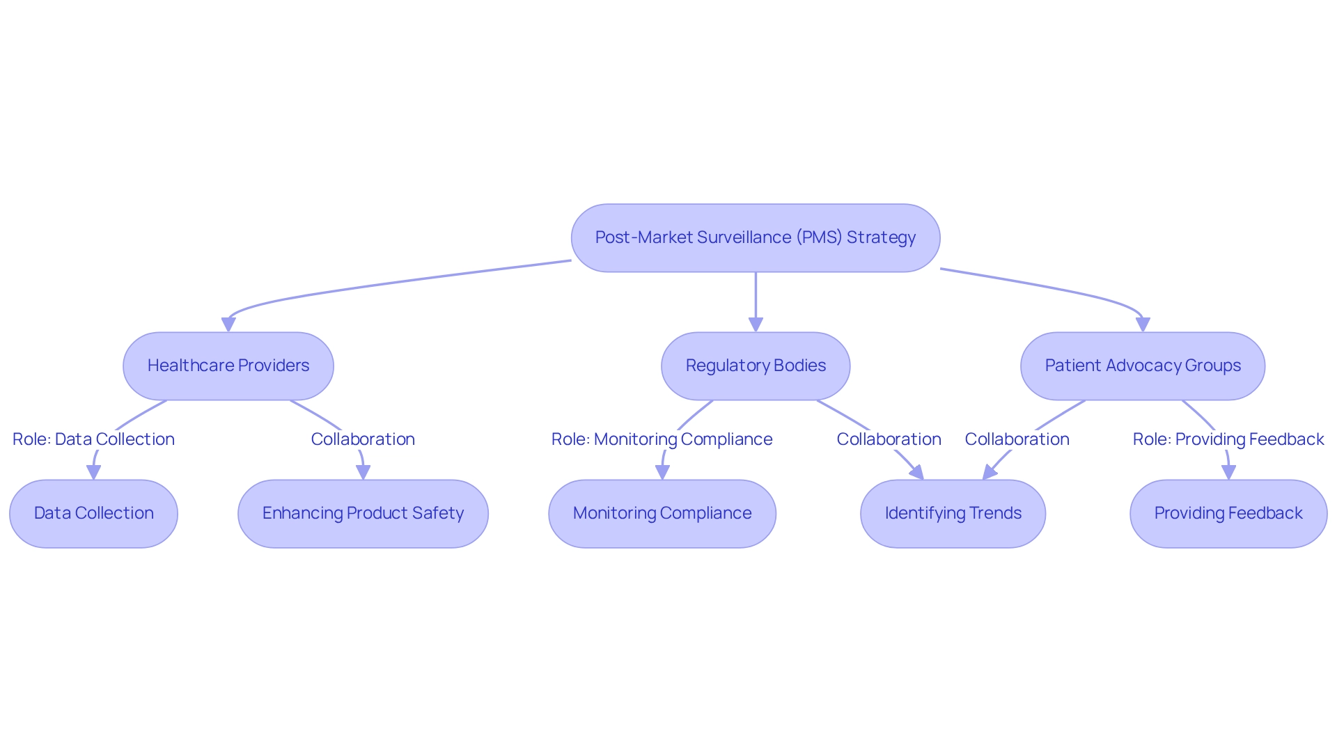 This flowchart shows how different local stakeholders collaborate in the PMS process. Each box represents a group and their contributions, helping you understand the interconnected roles in ensuring product safety and regulatory compliance.