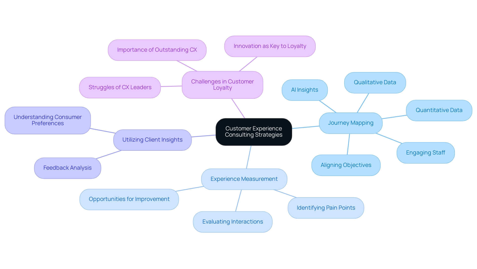 The central node represents the overall strategies, with branches showing the key strategies and their respective components.