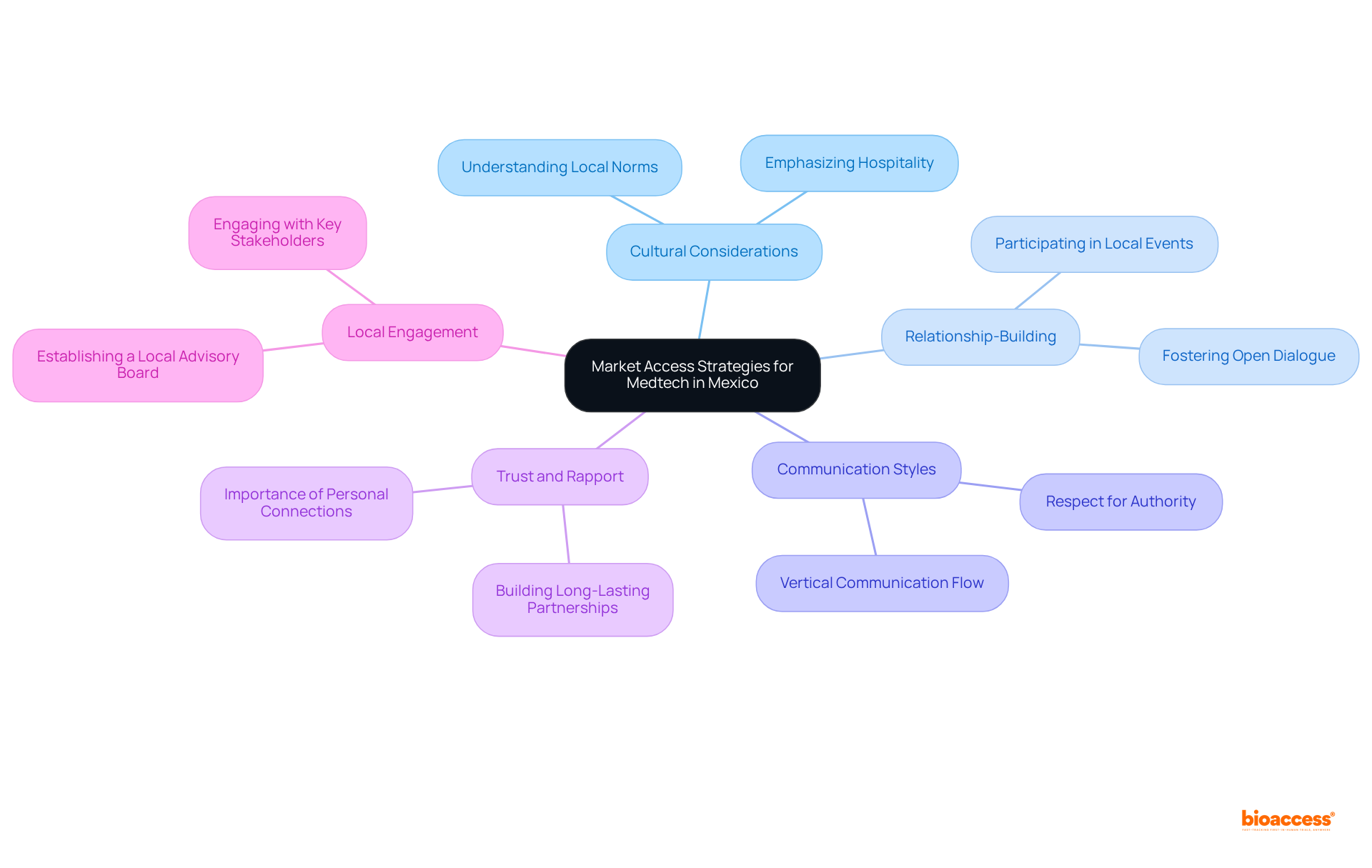 The central node represents the main focus area. Each branch shows a key strategy or consideration, with sub-branches giving specific actions or insights. This layout helps visualize how these components work together to support successful market entry.